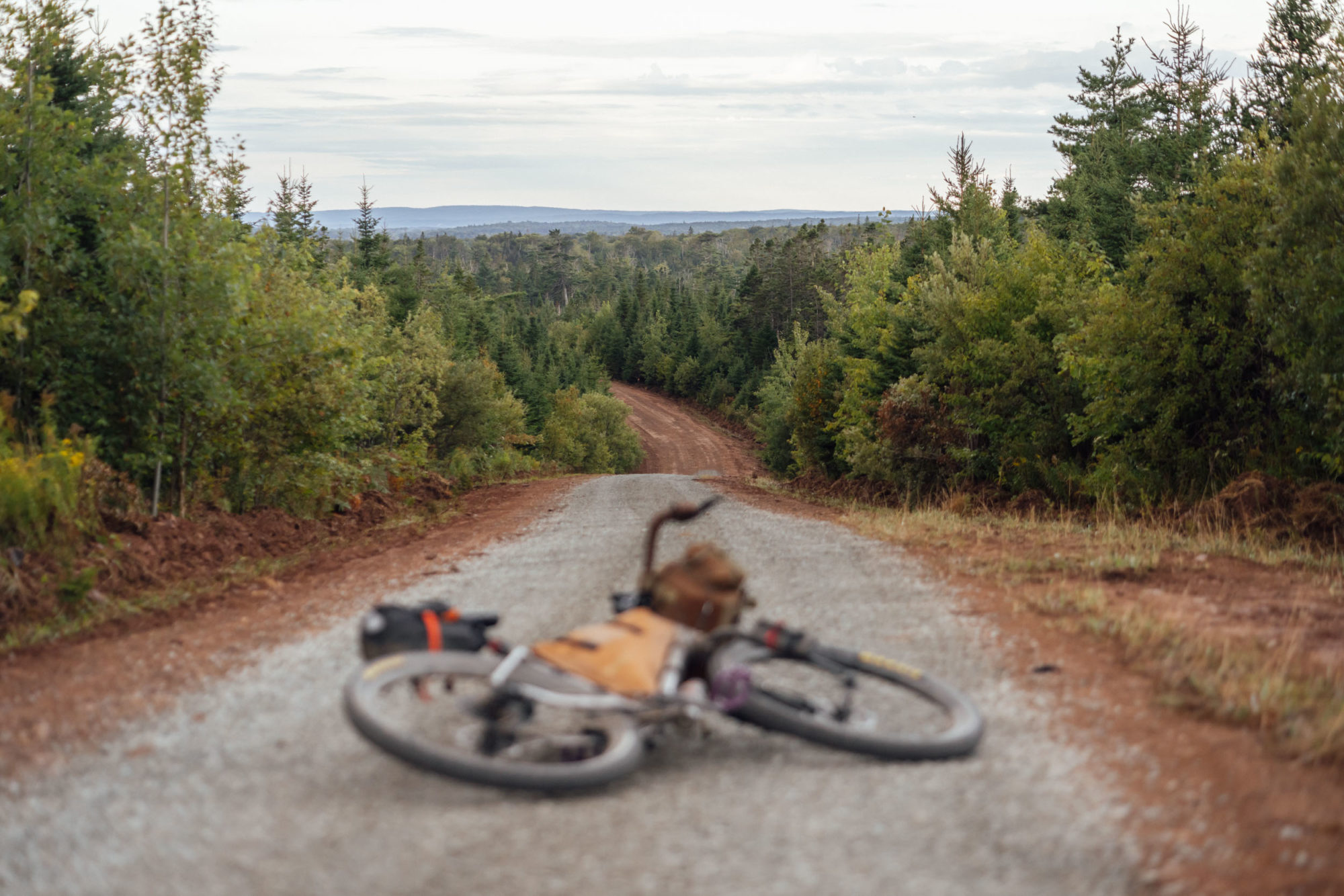 Eastern Divide Trail (S2): Tamarack - BIKEPACKING.com