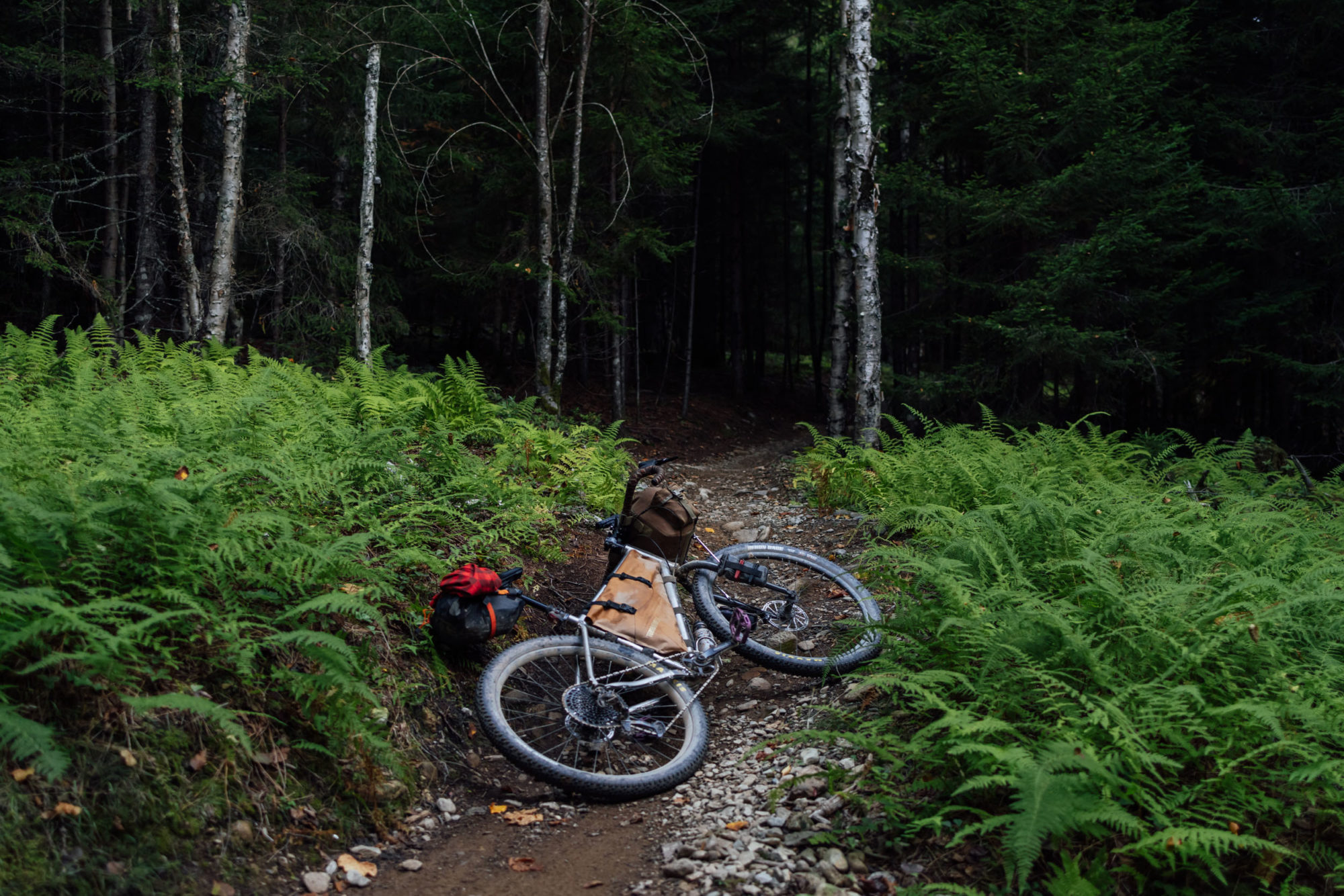 Our 13 Favorite Drop-Bar MTBs + History and Interpretation ...