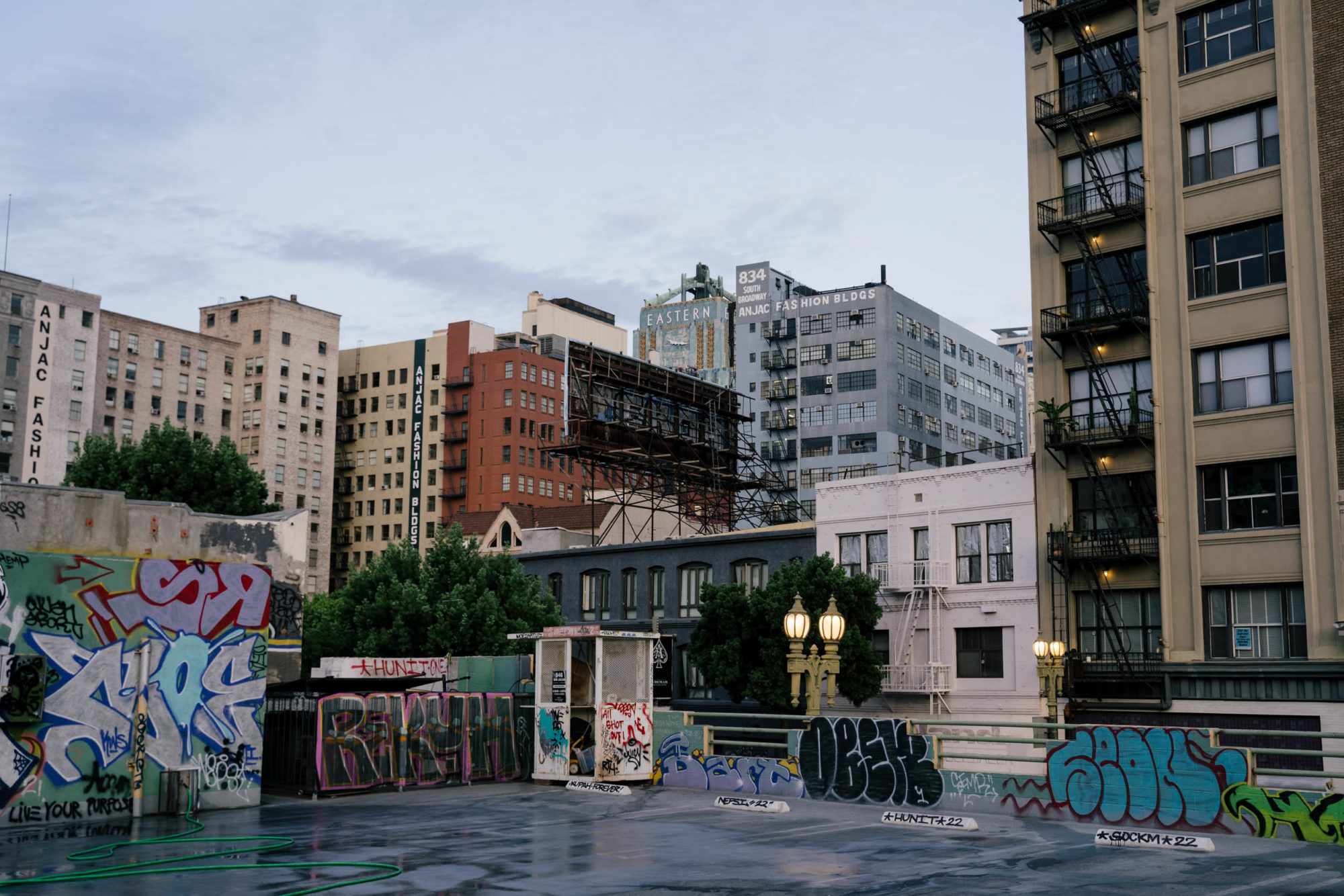 Anything and Everything: A Deep Dive into Road Runner Bags ...