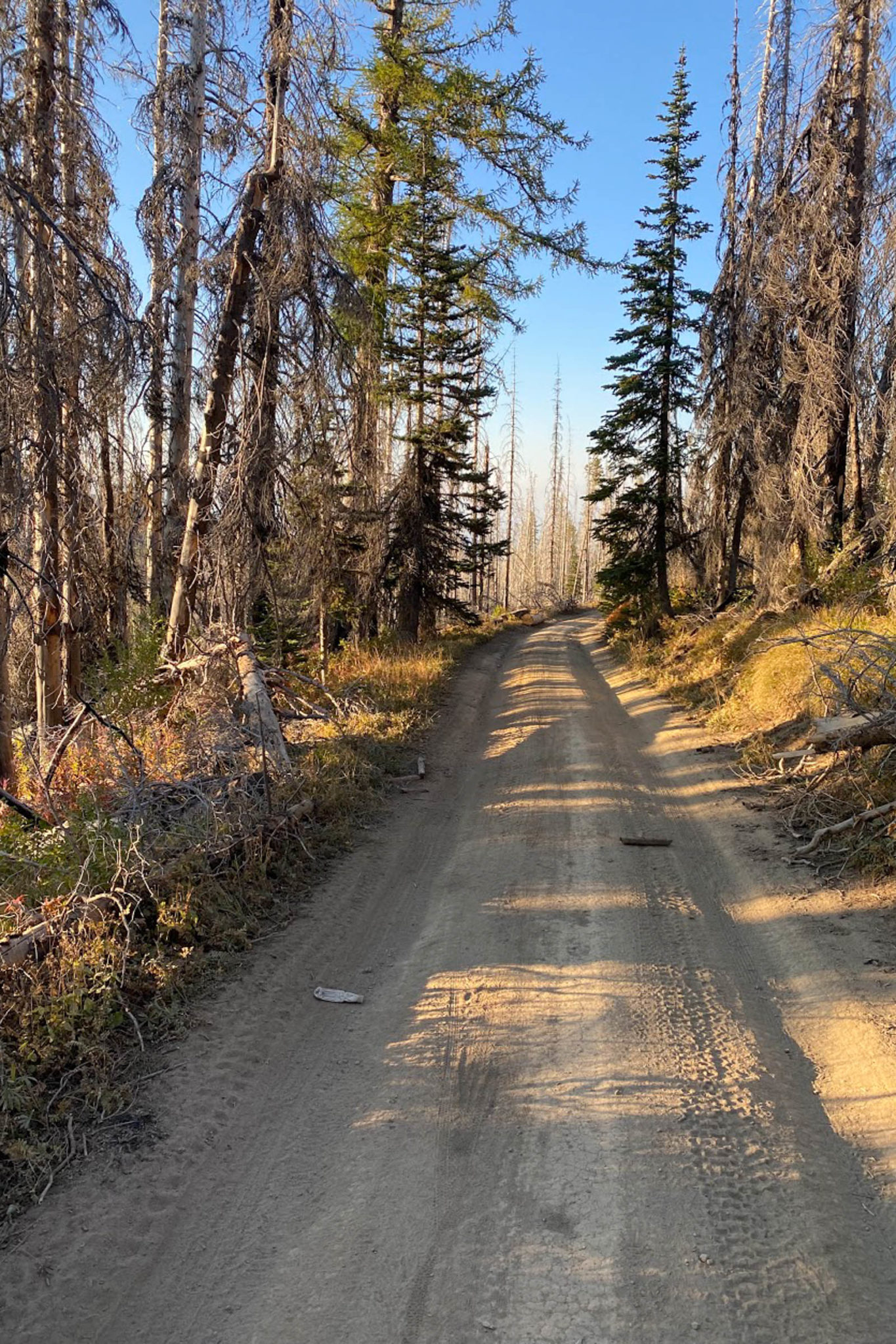 2022 Washington High-Lite: Event Recap - BIKEPACKING.com