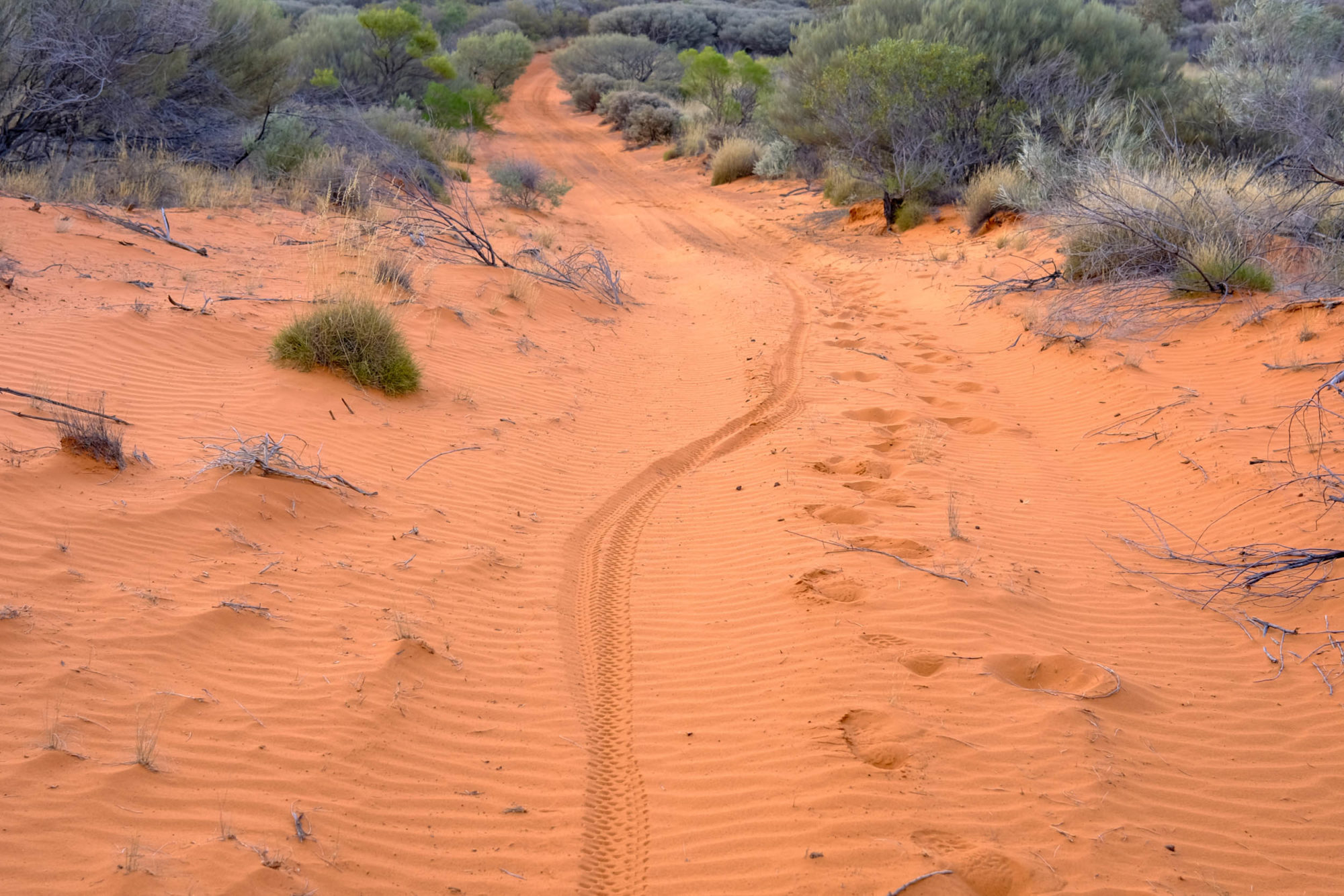 Slow and Sandy - BIKEPACKING.com