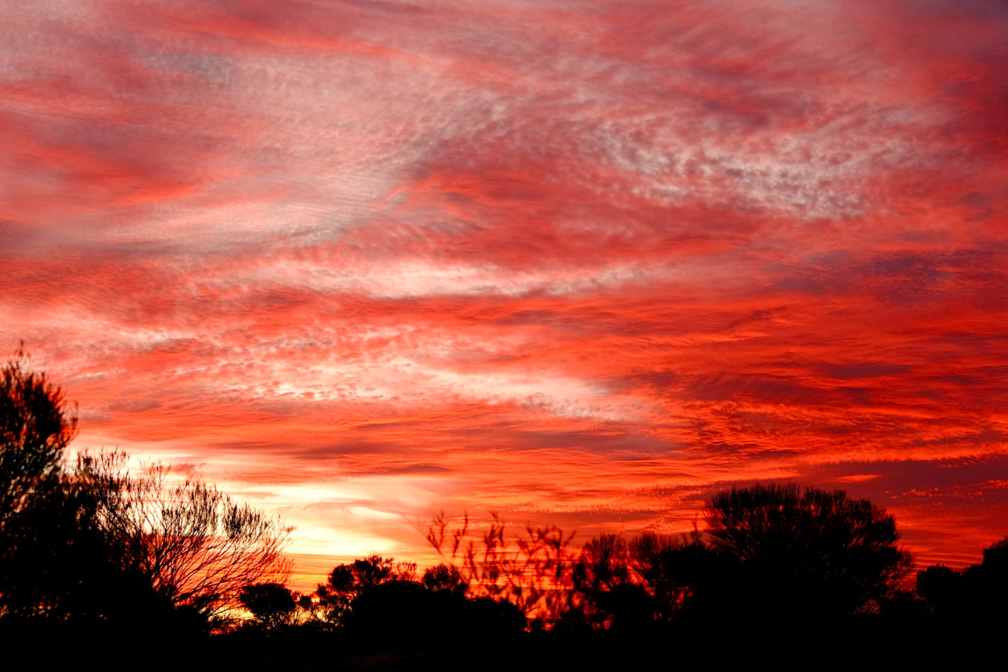 Slow and Sandy - BIKEPACKING.com