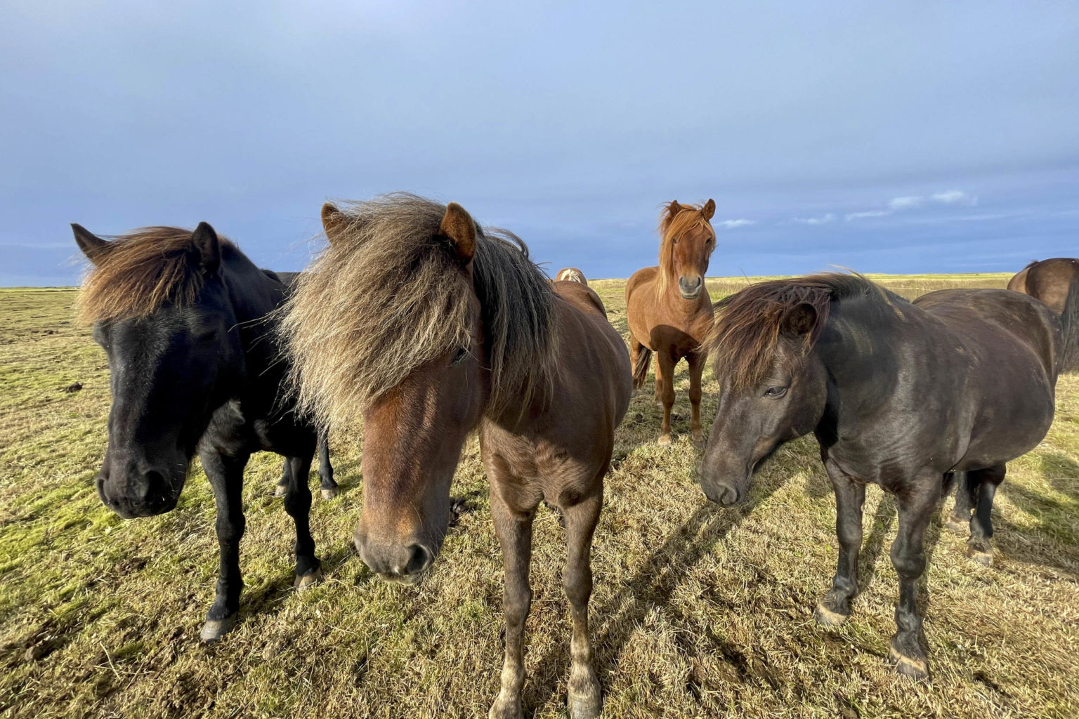 The Iceland Divide by Richard Sidey (Video) - BIKEPACKING.com