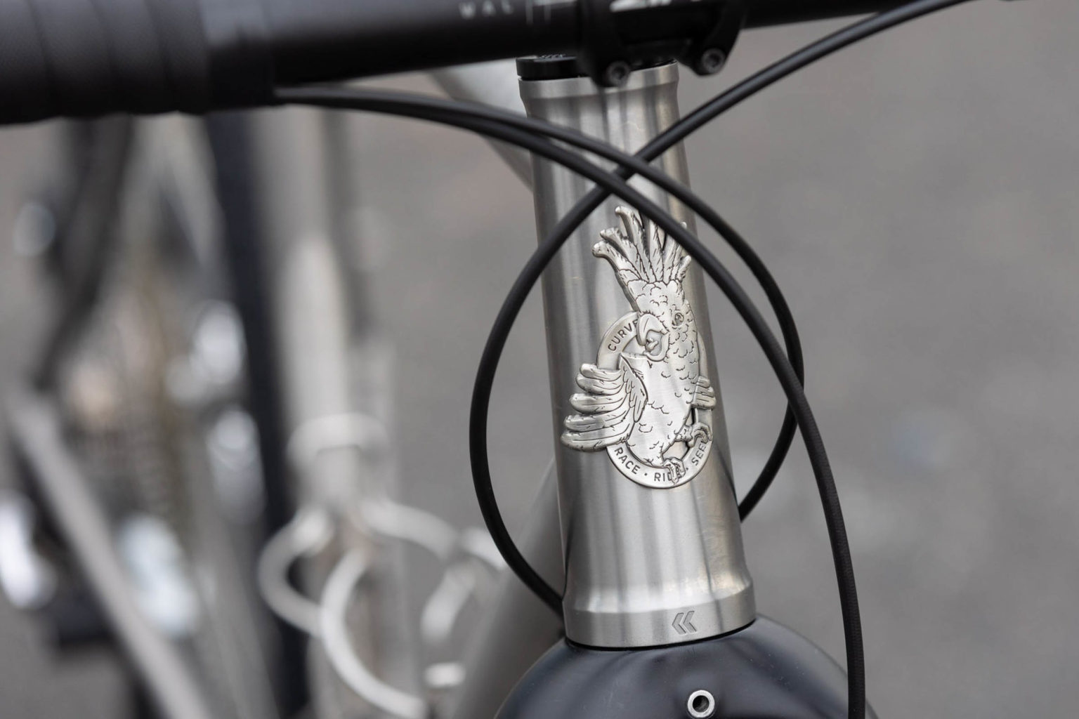 Say Hello to the new Curve Big Kev - BIKEPACKING.com