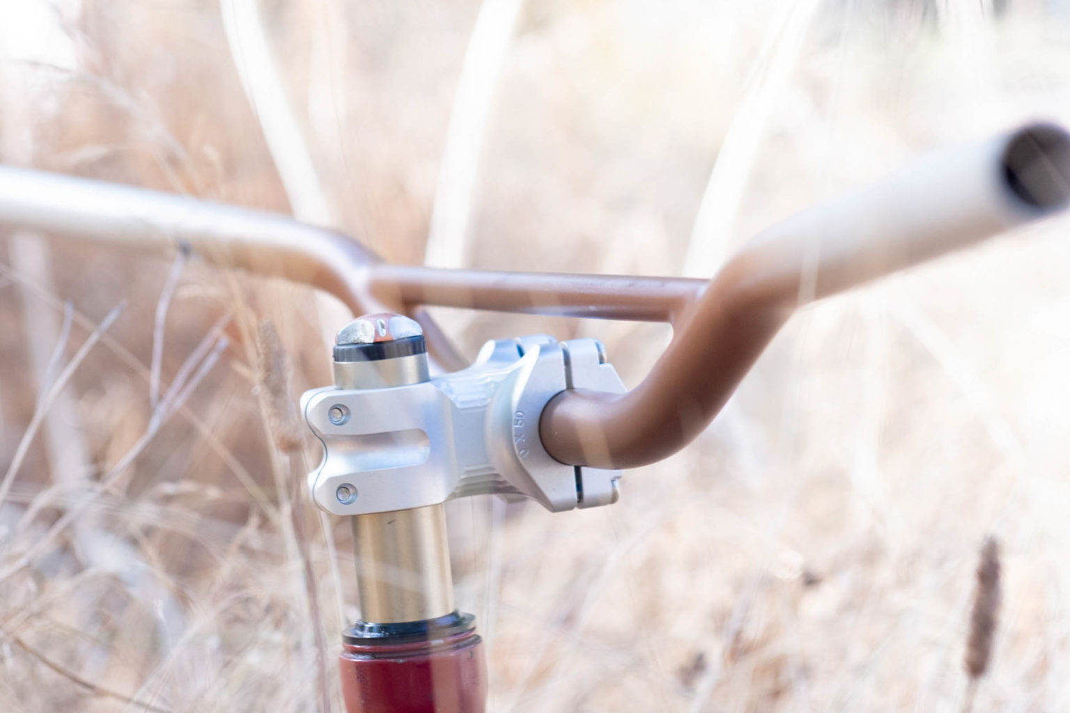 Preorders for the Forager Bolete Fade Oyster Bars Open Today ...