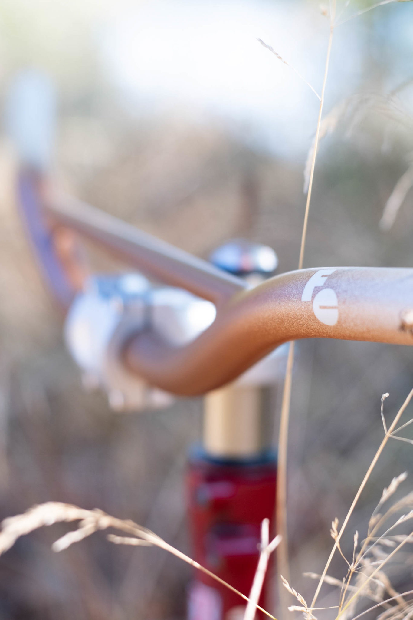 Preorders for the Forager Bolete Fade Oyster Bars Open Today ...