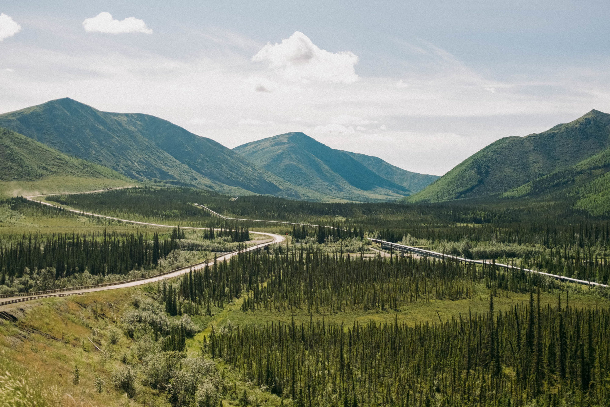 Cycling to Argentina EP2: Alaskan Mosquito Onslaught (Video ...