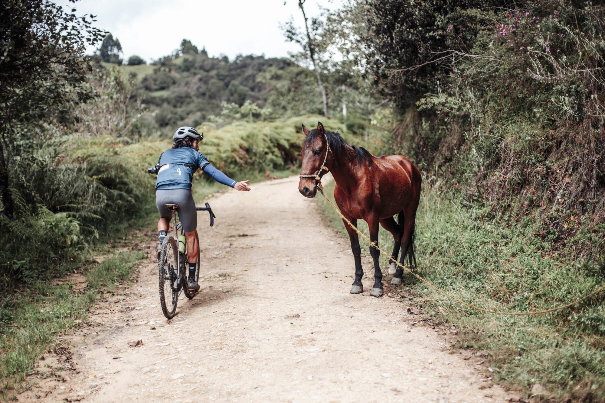 Andean Bear Corridor - BIKEPACKING.com
