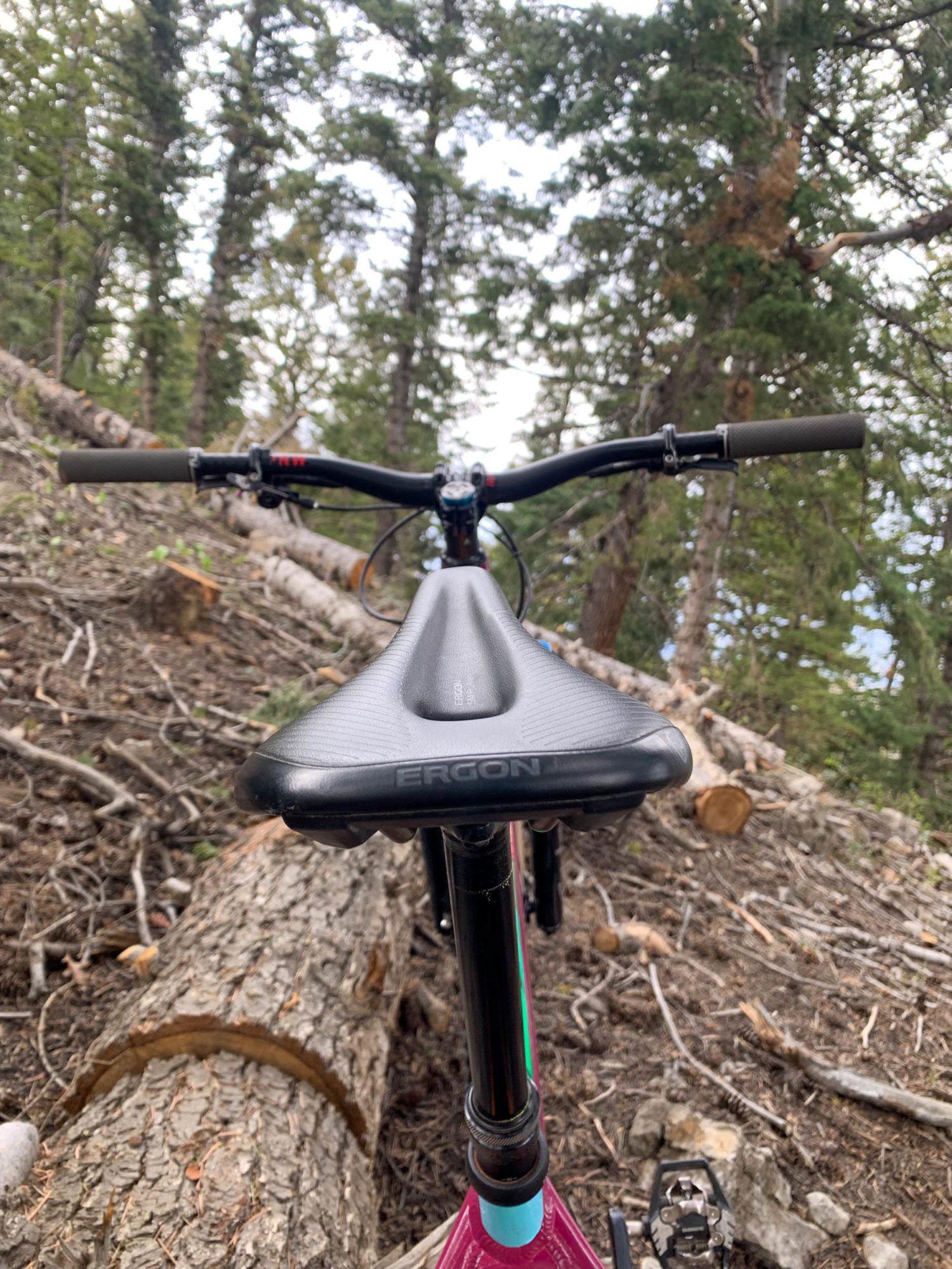 Reader's Rig: Zack's 2021 Salsa Timberjack - BIKEPACKING.com