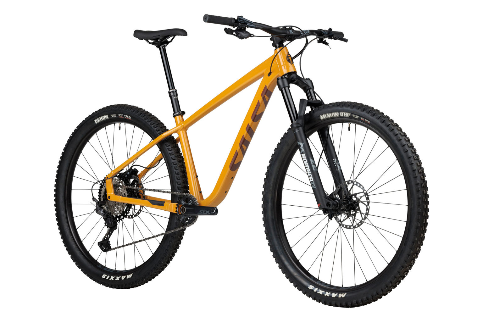 2023 Salsa Timberjack Lineup Announced - BIKEPACKING.com