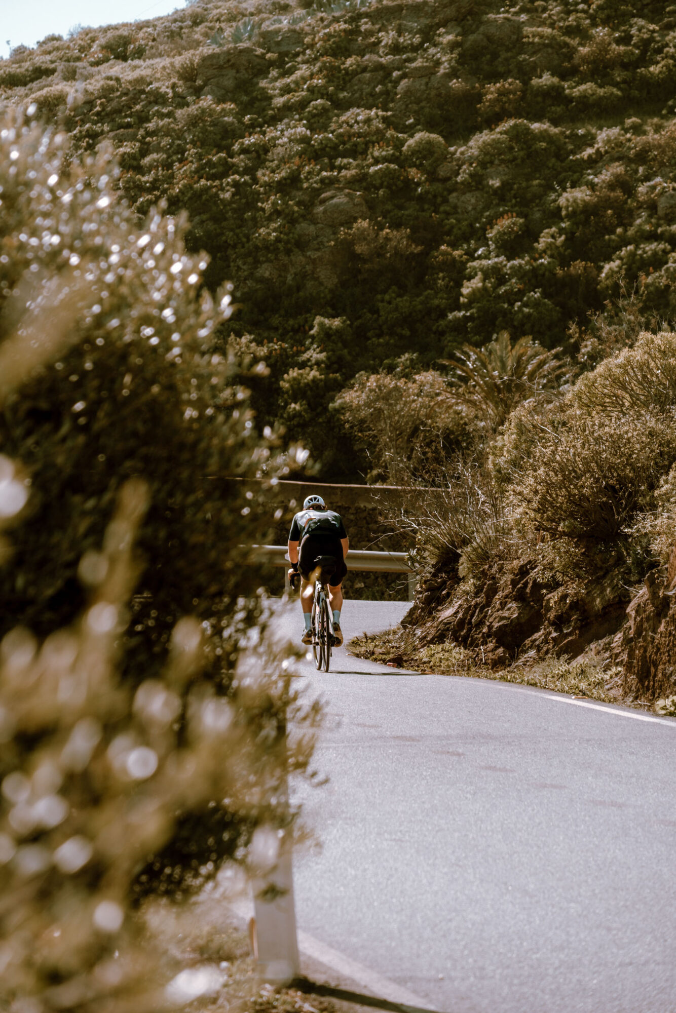 Live Slow Ride Fast: We Are Not Missing That Boat (Film) - BIKEPACKING.com