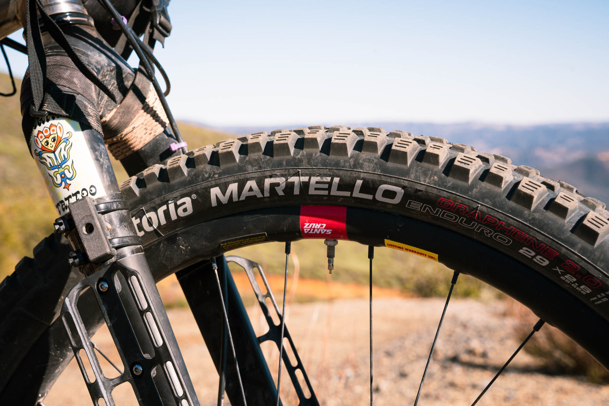 Reader's Rig: DeArmond's Salsa Timberjack Ti - BIKEPACKING.com