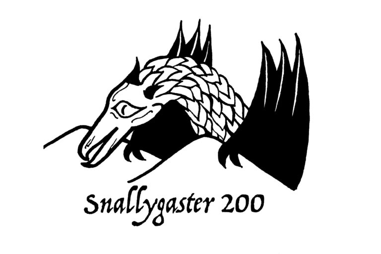Snallygaster 200 2025 - BIKEPACKING.com
