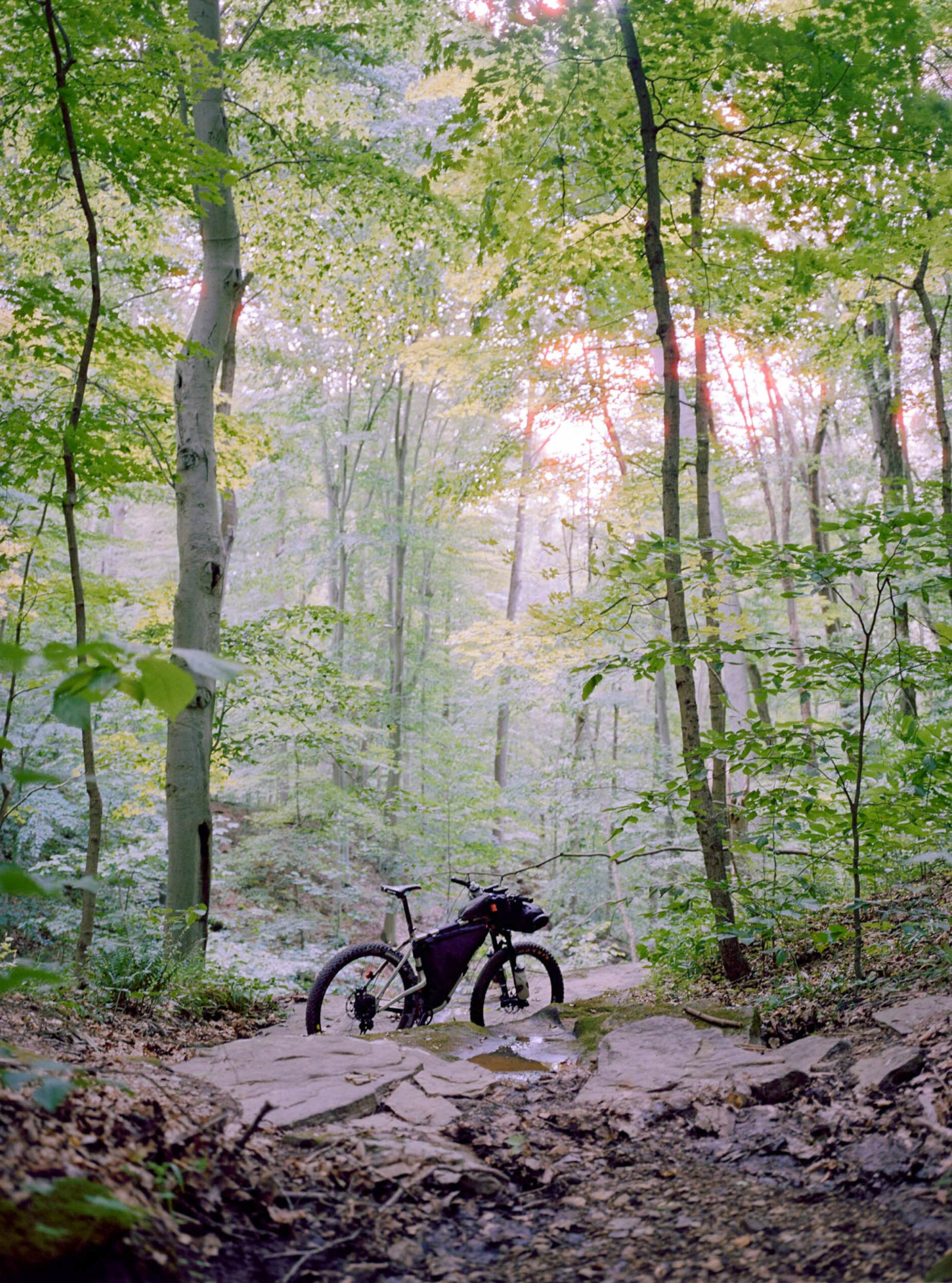 Wayne Forest Trail Tour - BIKEPACKING.com