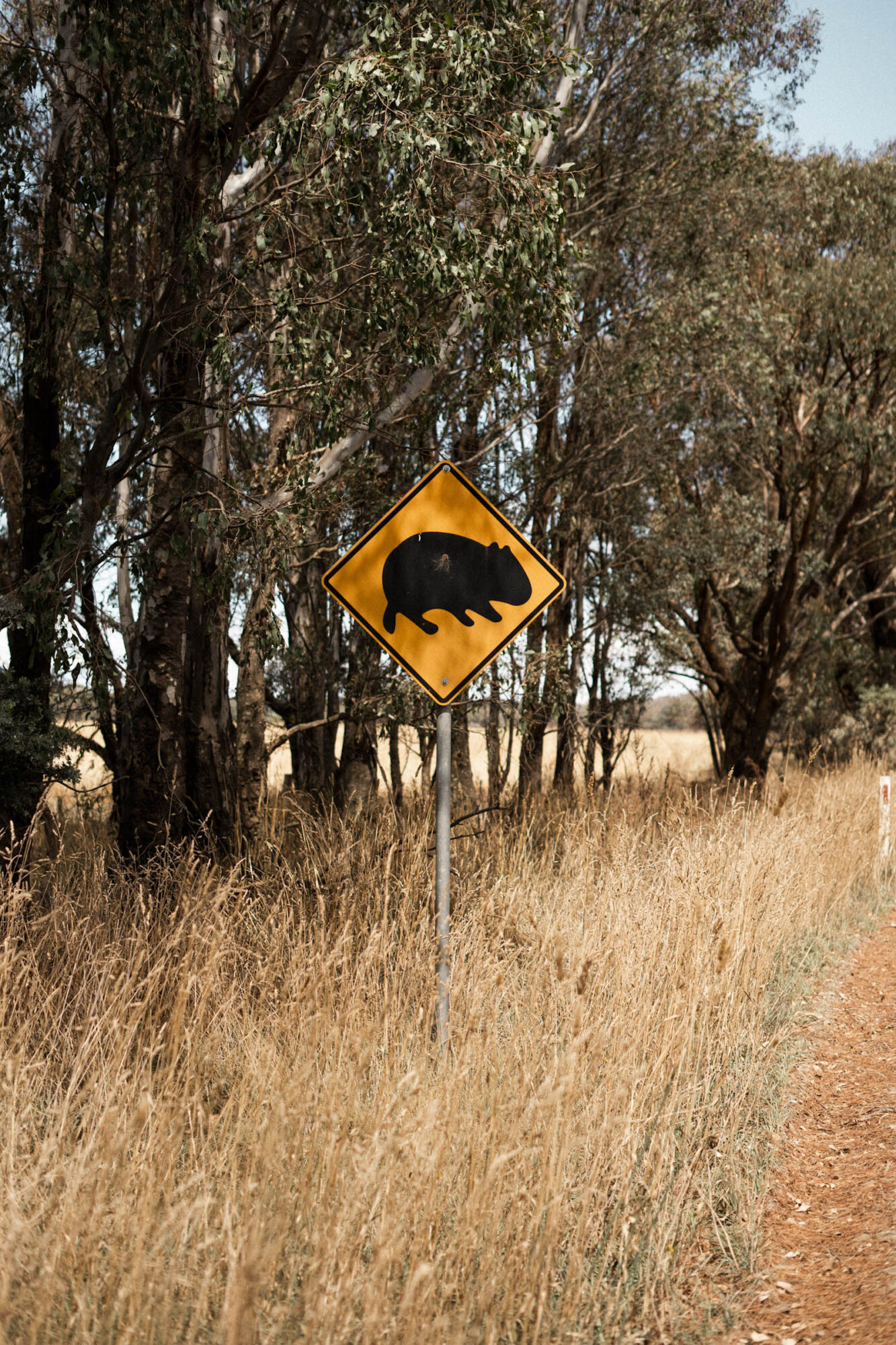 2023 Cloudride Prologue Recap - BIKEPACKING.com