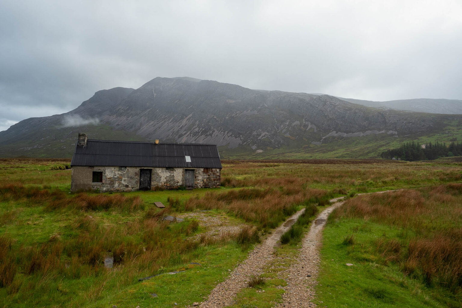 The Pink Dots: A Story from the Highland Trail 550 (Video ...