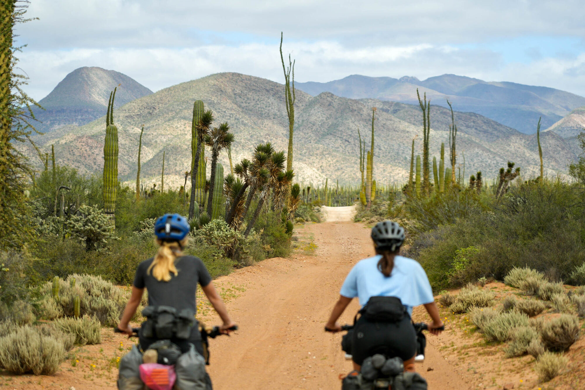 A Silent Journey and the Baja Divide Explained (Videos) - BIKEPACKING.com