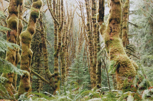 Cycling to Argentina EP8: The Pacific Coast (Video) - BIKEPACKING.com