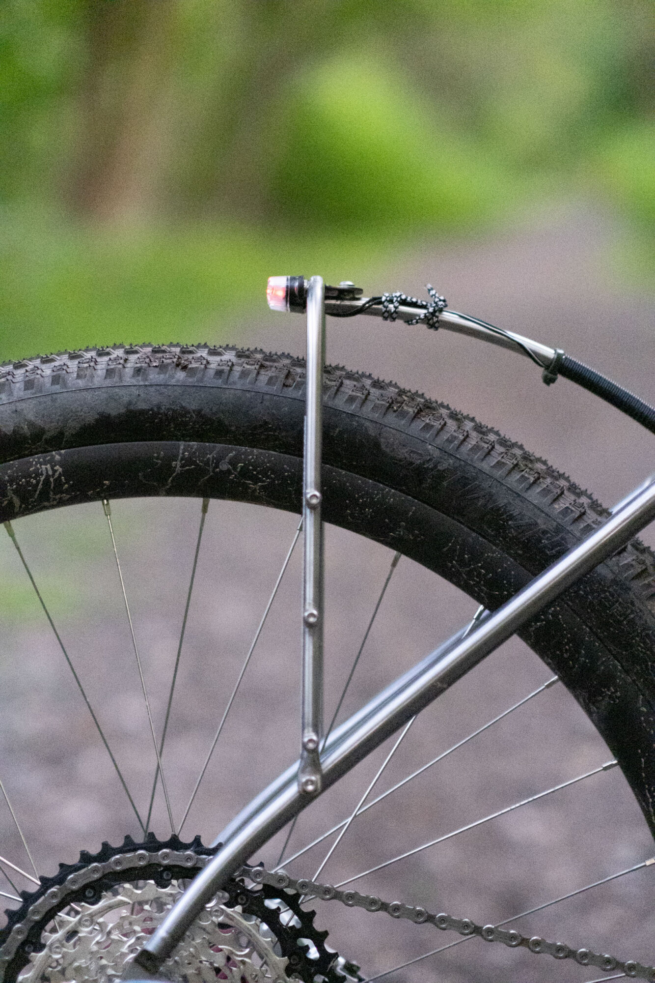 Maestro Rat Snake - BIKEPACKING.com