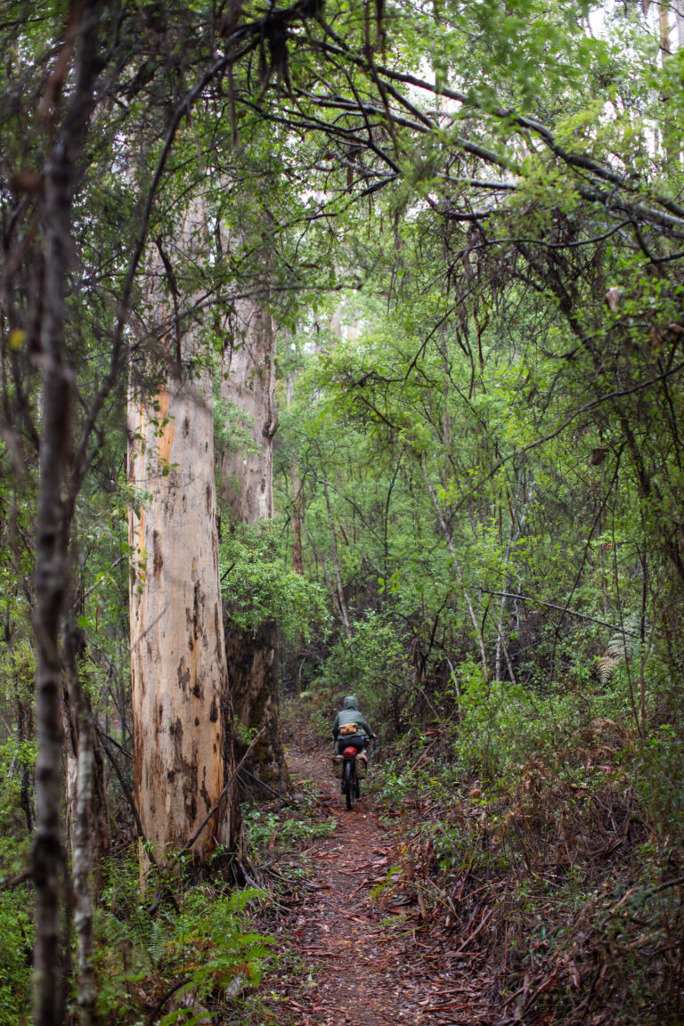 Munda Biddi Trail - BIKEPACKING.com