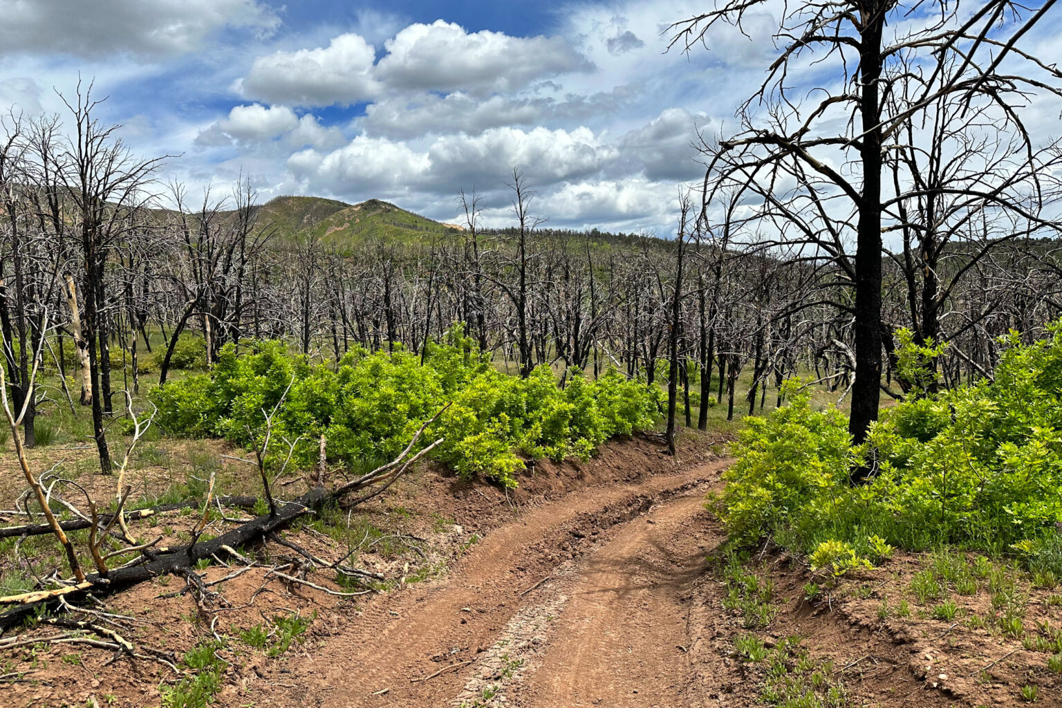 The Grand Loop Race 2023 - BIKEPACKING.com
