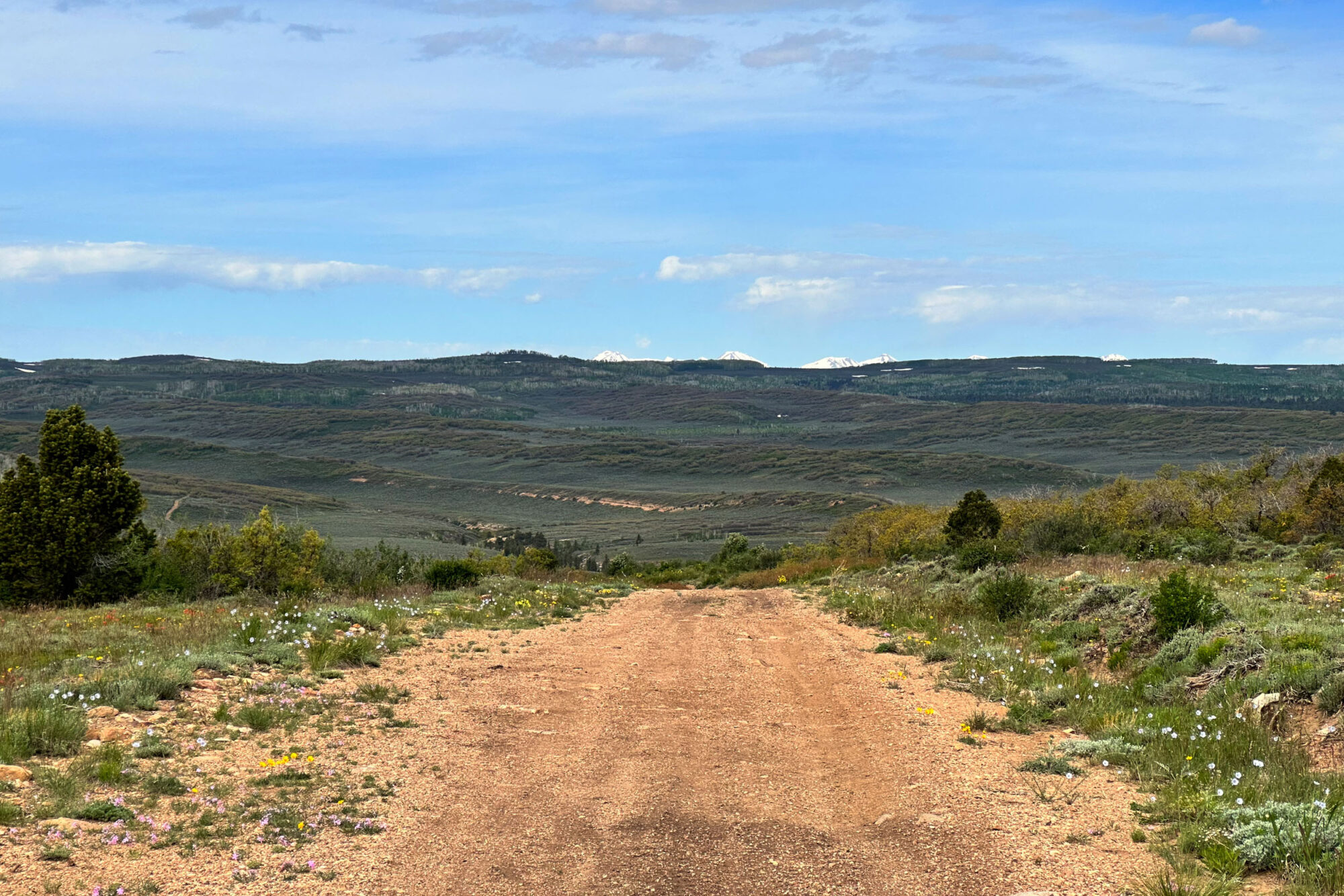 The Grand Loop Race 2023 - BIKEPACKING.com