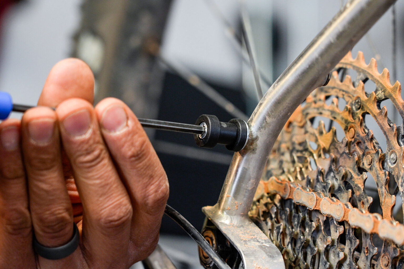 Ortlieb Quick Rack Review - BIKEPACKING.com