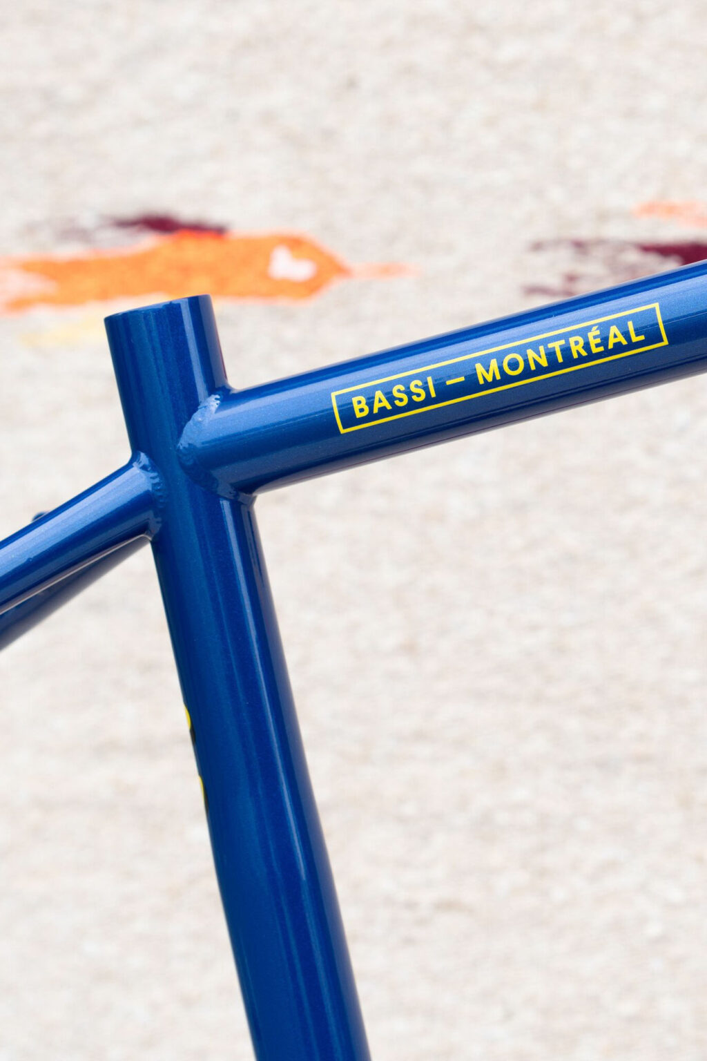 The New Bassi Coyote - BIKEPACKING.com