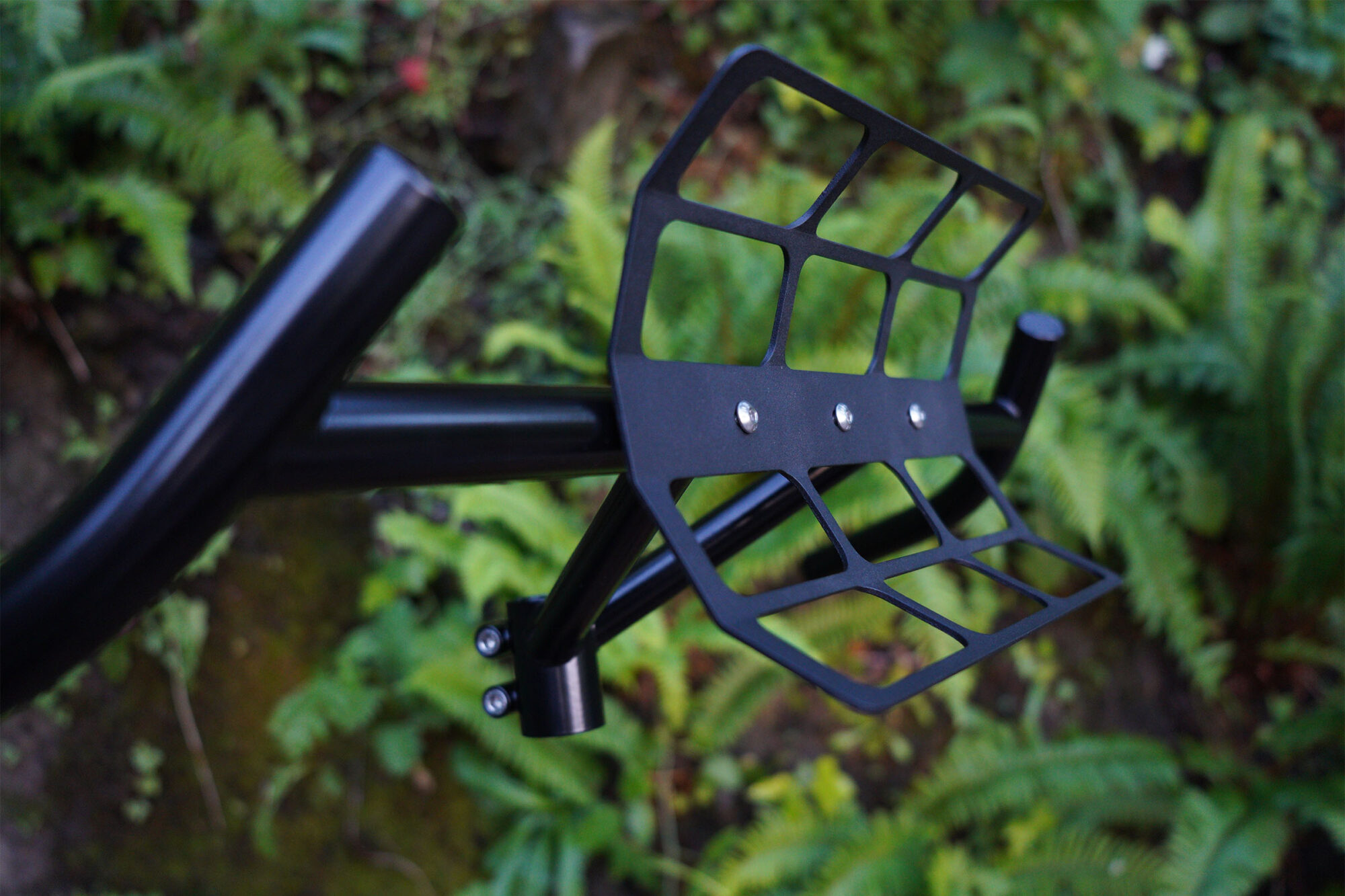 Friday Debrief: Rodeo Bars, Stridsland Beachcomber, Paper Roads Trail ...