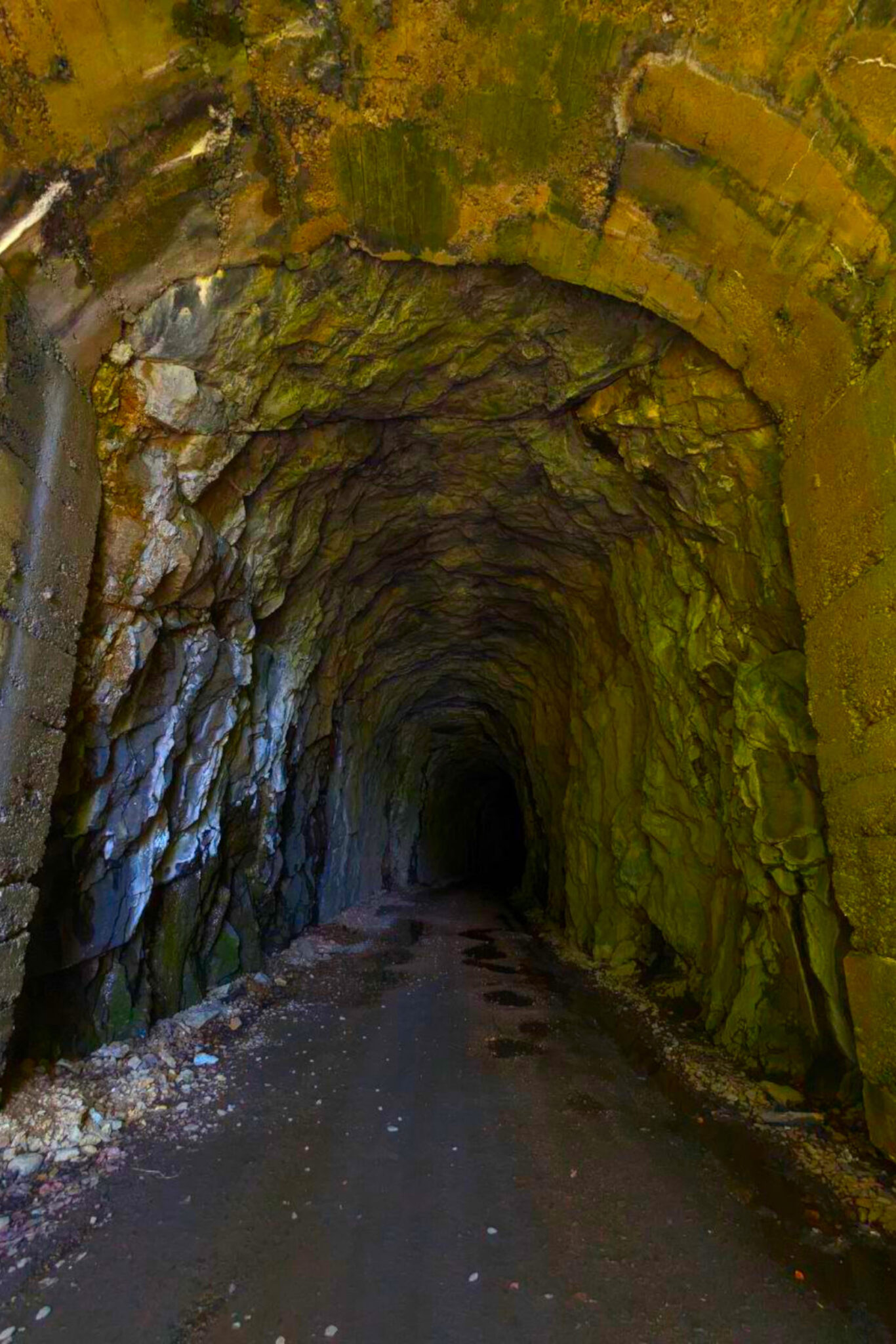 2023 BC Epic 1000: Event Recap - BIKEPACKING.com