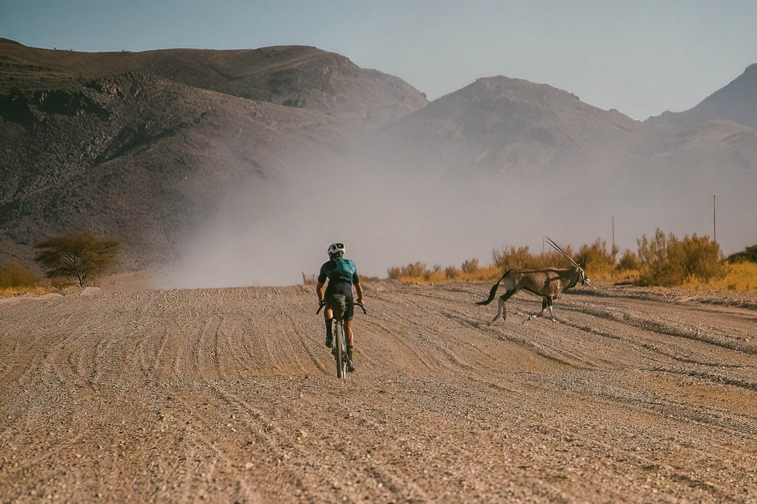 Don't Look Back - The Rhino Run Story (Video) - BIKEPACKING.com