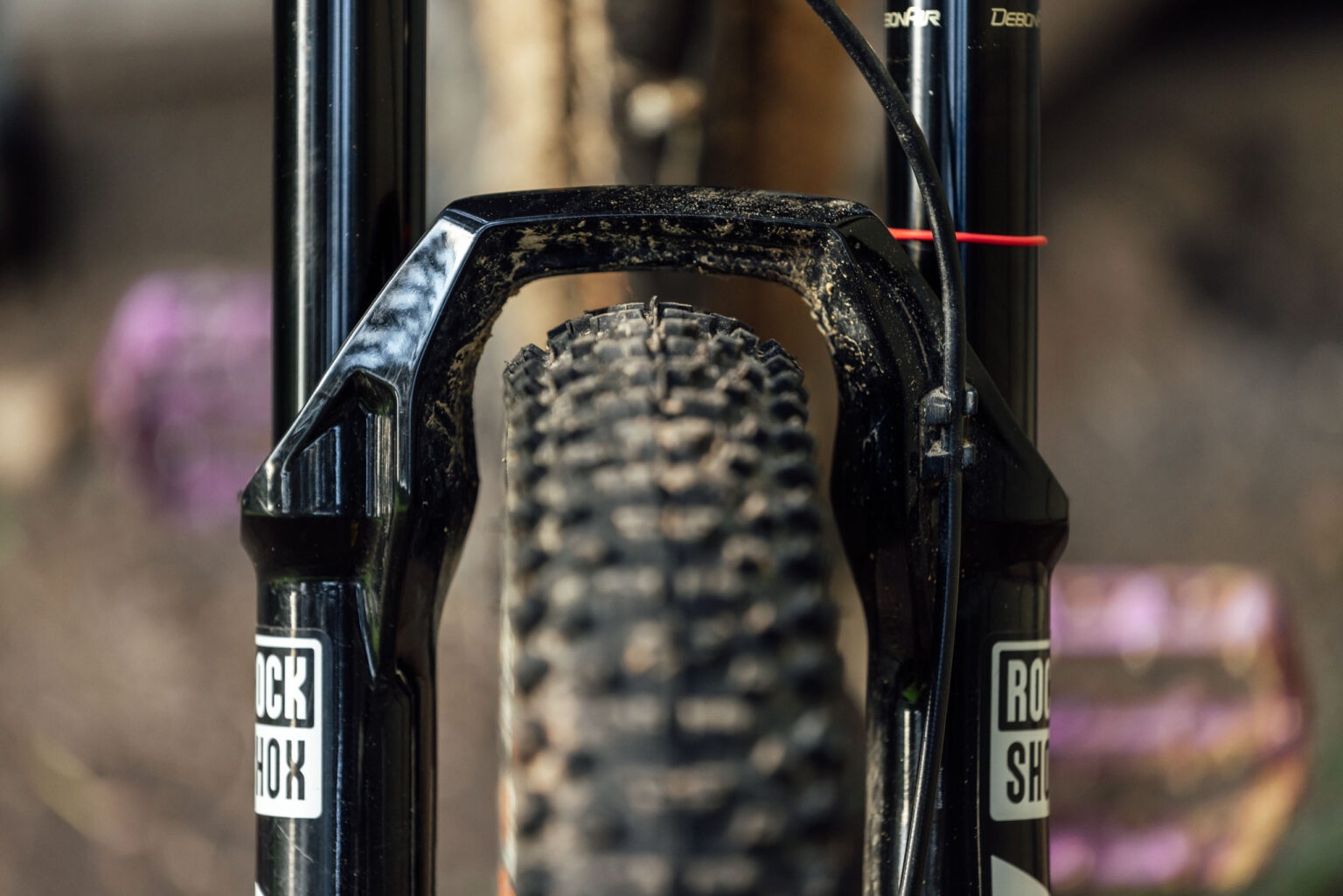 Maxxis Forekaster Review - BIKEPACKING.com