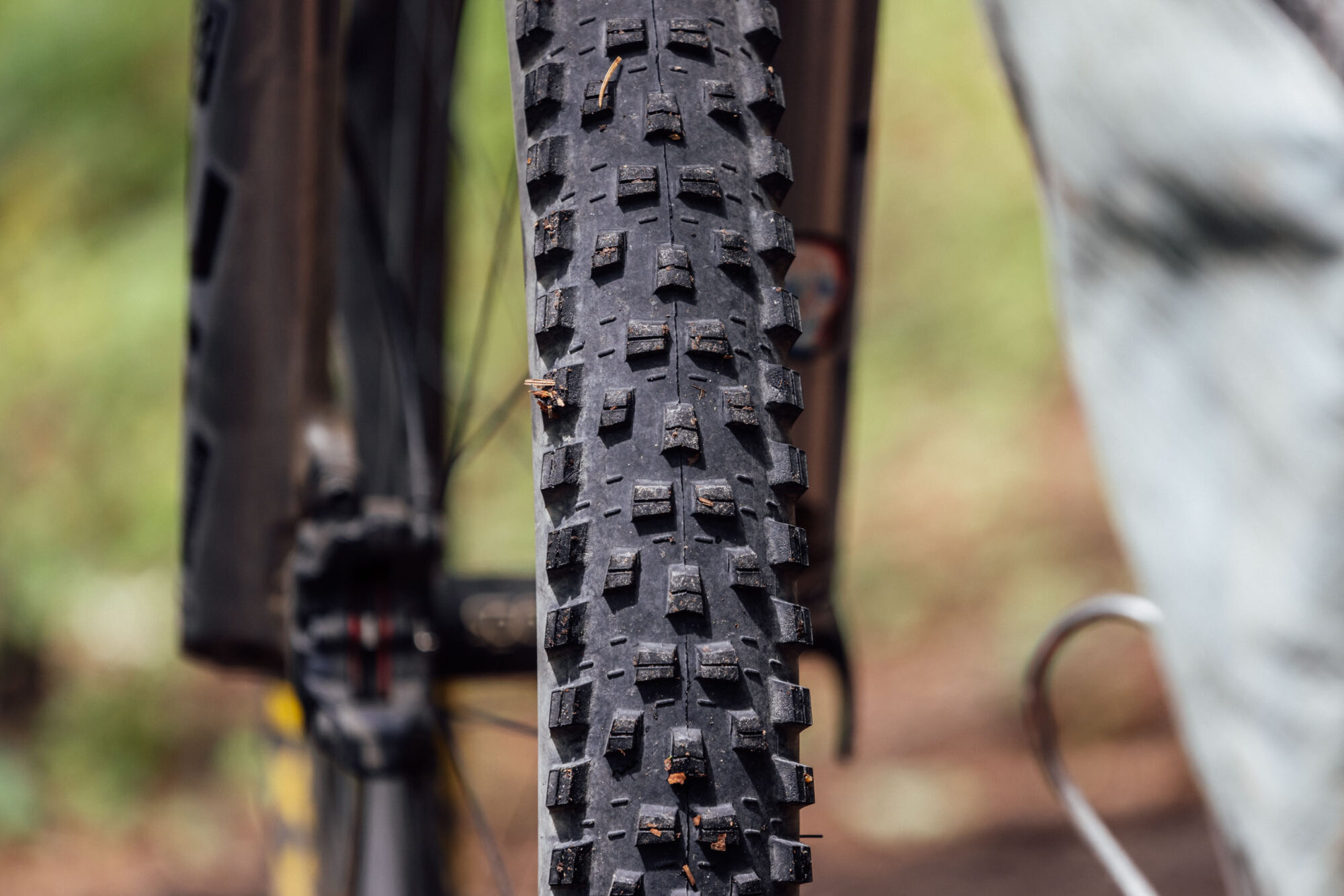 Maxxis Forekaster Review - BIKEPACKING.com