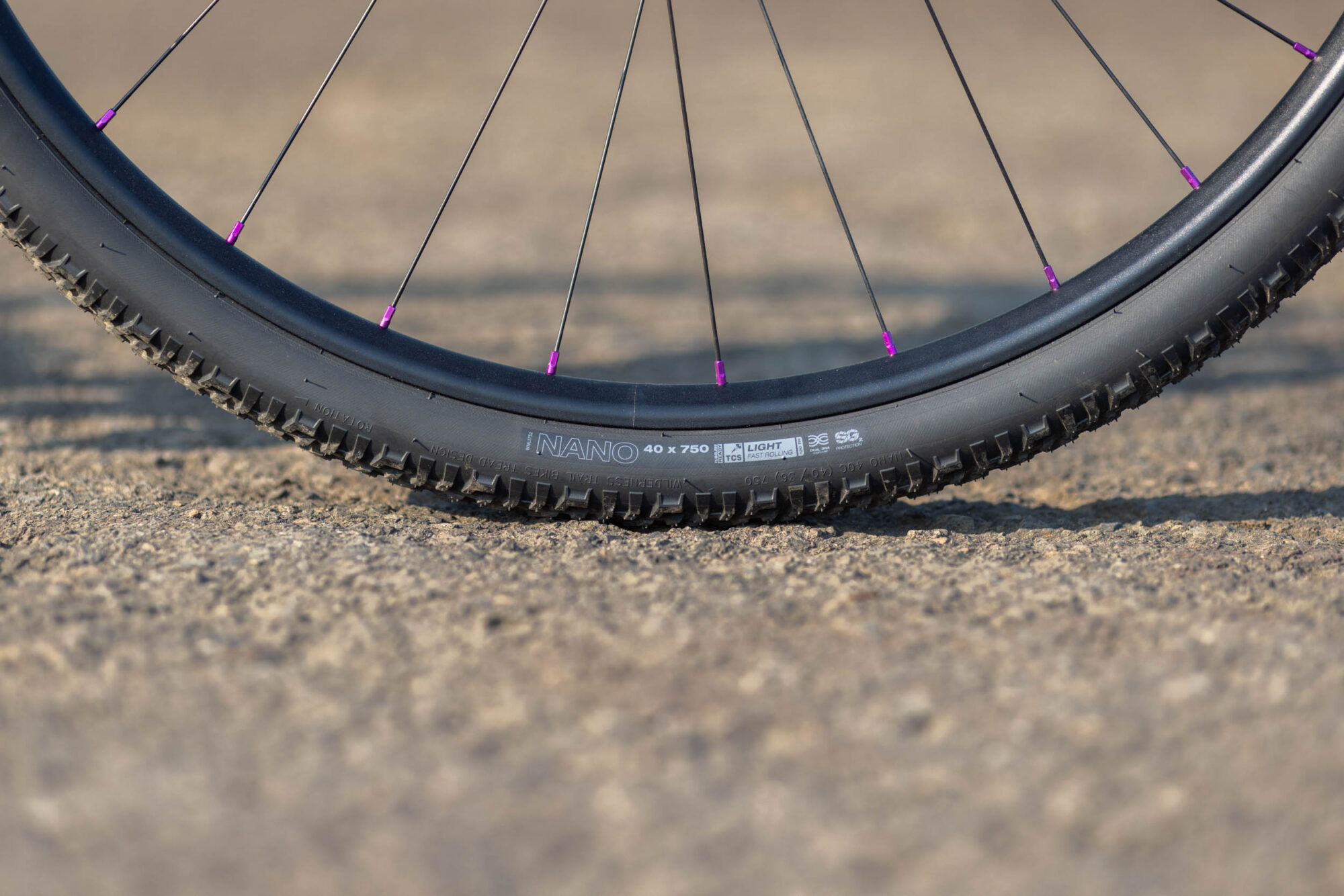 750d Wheels and Tires by WTB - BIKEPACKING.com
