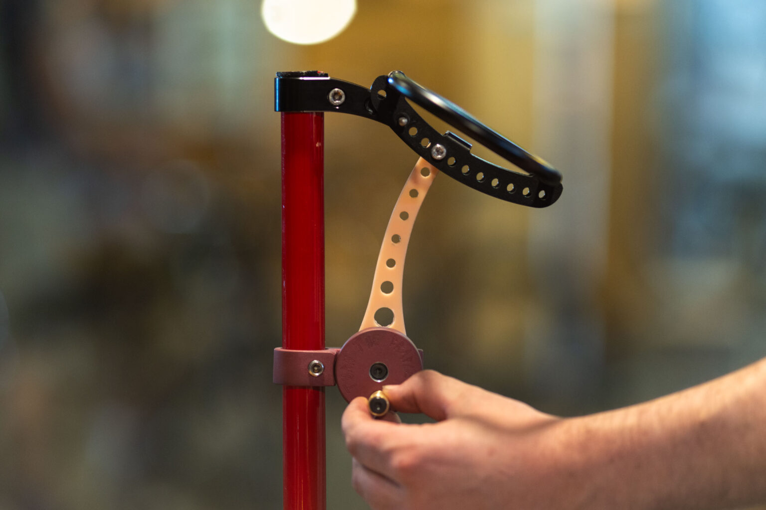 RatKing Cradle - BIKEPACKING.com