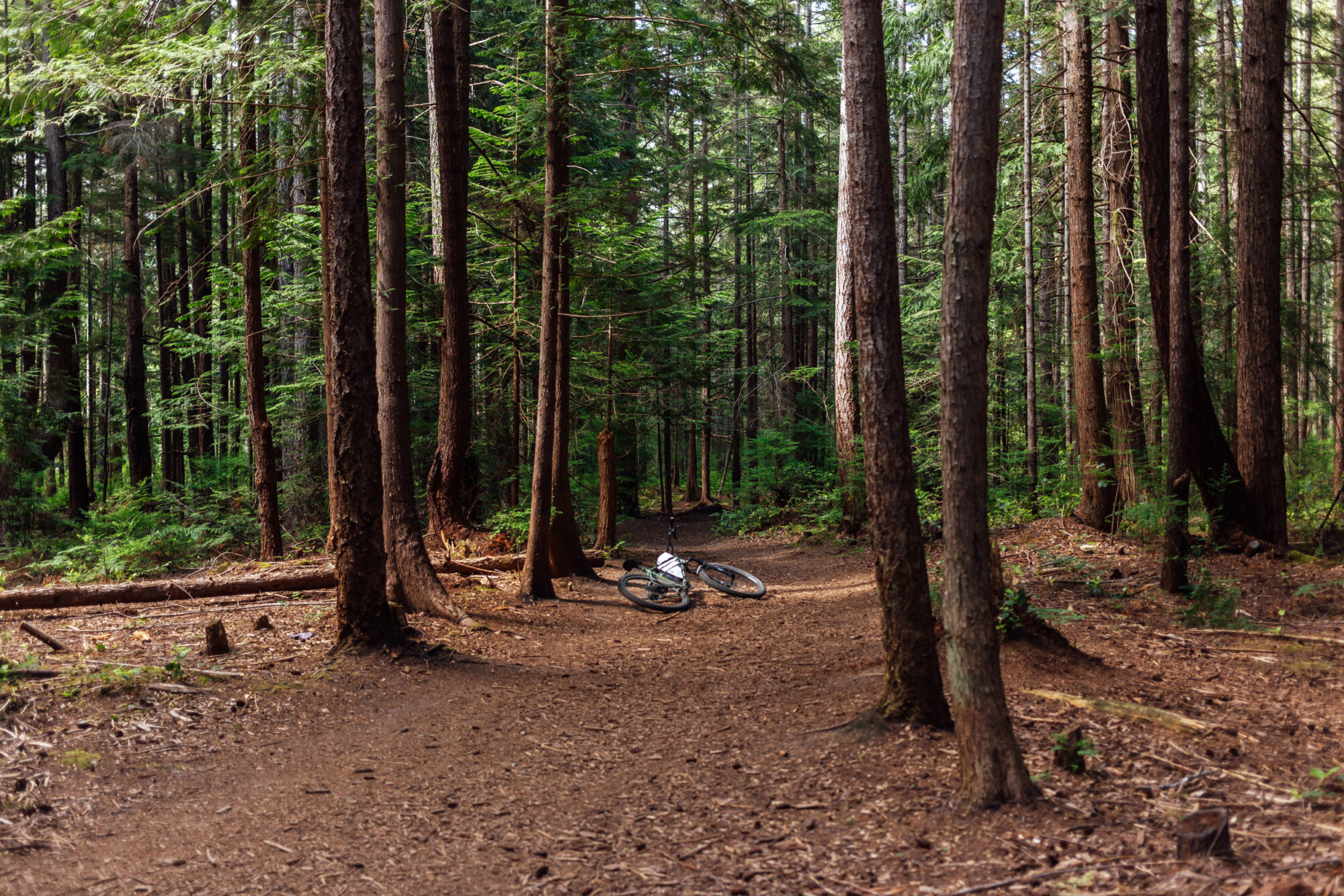 Mason RAW Review - BIKEPACKING.com