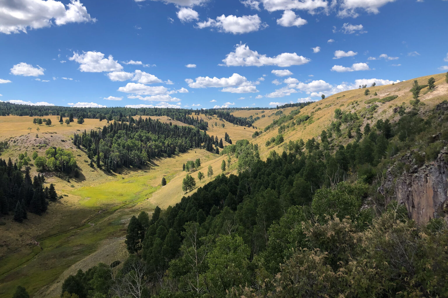 The New Colo 2025 - BIKEPACKING.com