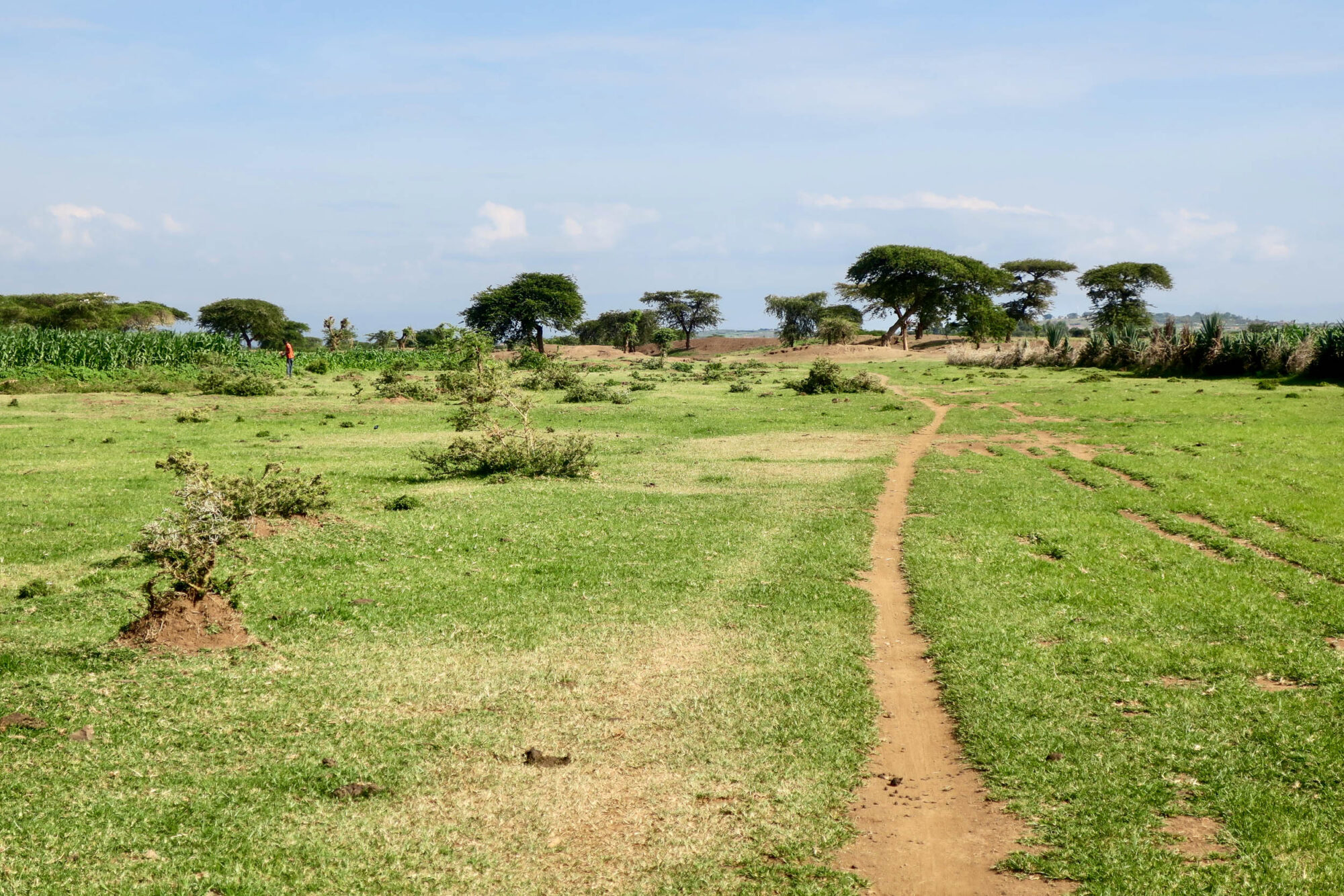Inner Odyssey: 1,000 Kilometers Across Kenya - BIKEPACKING.com