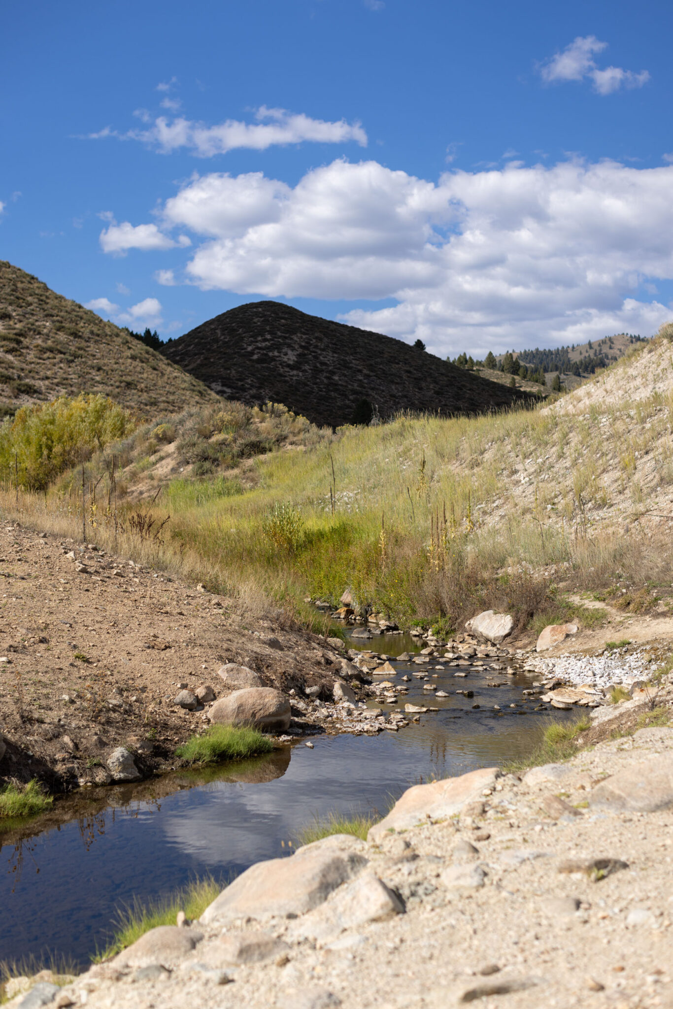 Dollarhide Summit Overnighter - BIKEPACKING.com