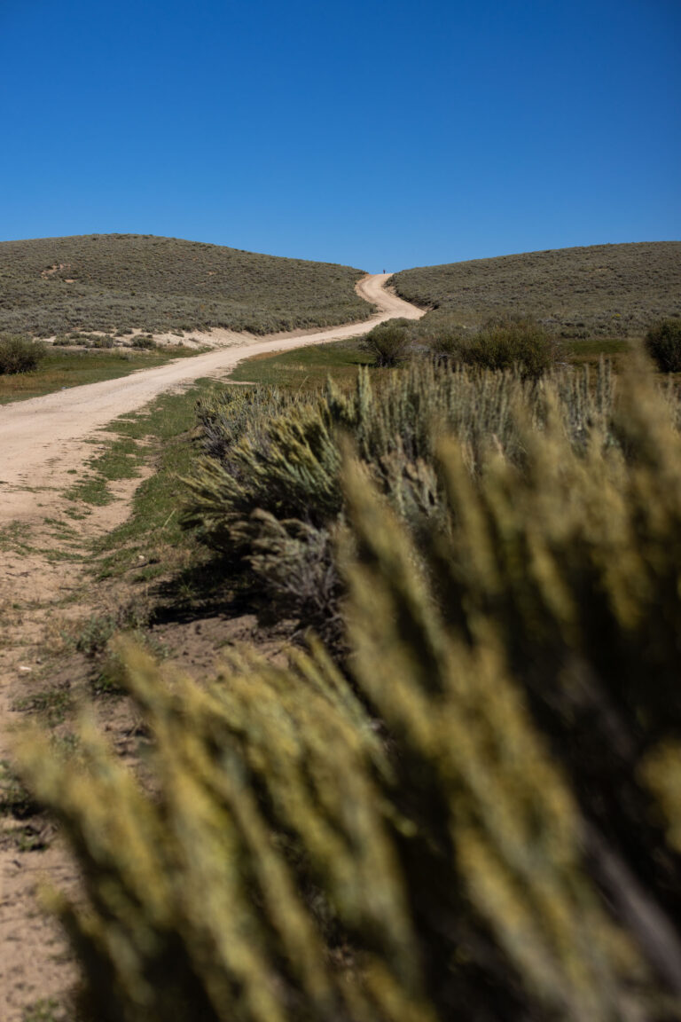 Dollarhide Summit Overnighter - BIKEPACKING.com