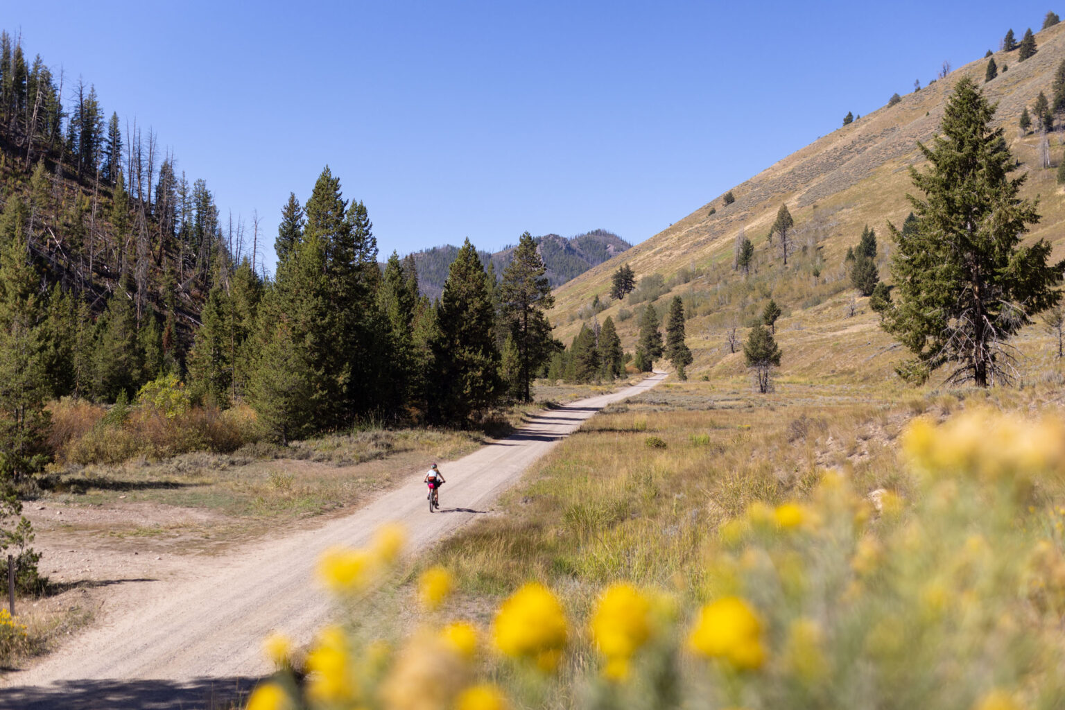 Dollarhide Summit Overnighter - BIKEPACKING.com