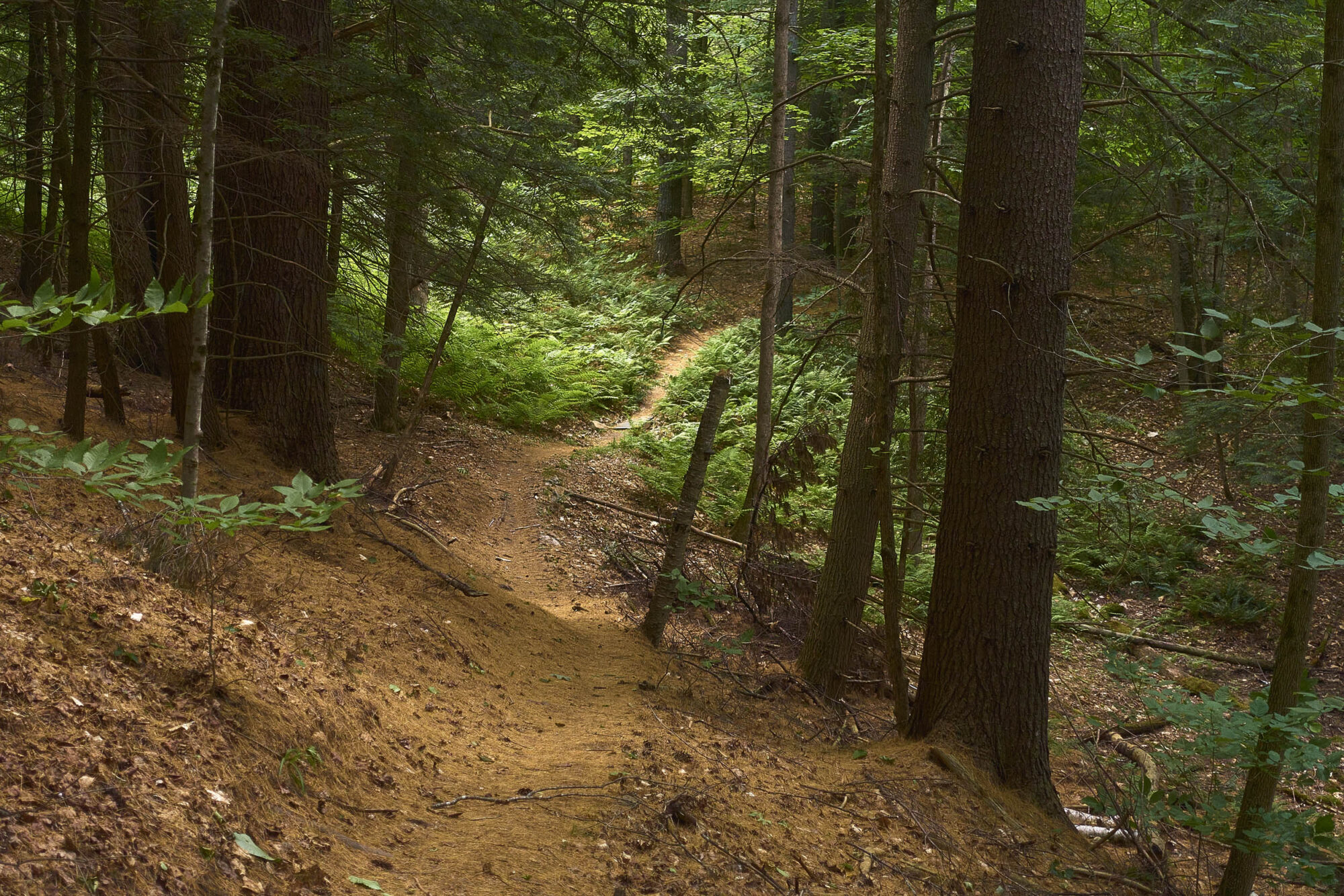 Upper Valley Trail Mix Bikepacking Route - BIKEPACKING.com