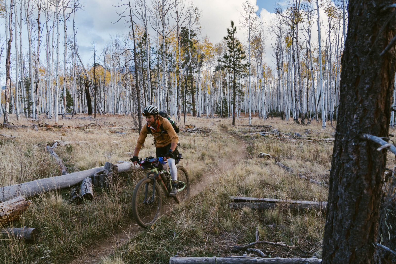 2023 Arizona Trail Race: A Freezing-Cold Finish - BIKEPACKING.com
