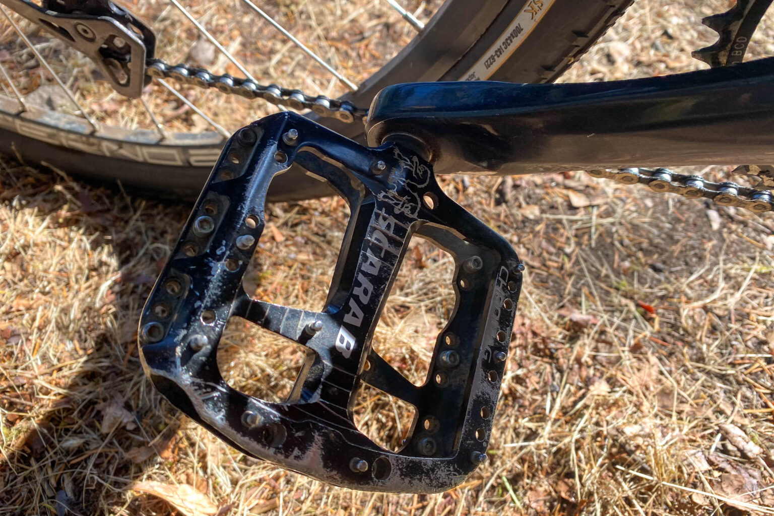 Reader's Rig: Brett's Brodie Argus - BIKEPACKING.com