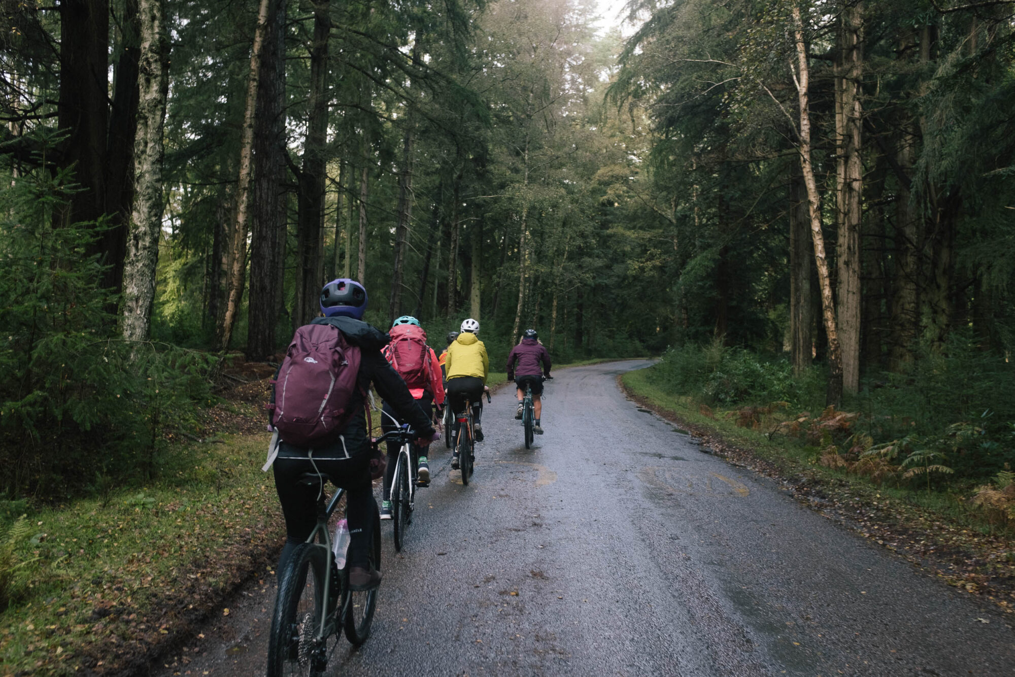 New Forest Off Road Club's Birthday Ride - BIKEPACKING.com