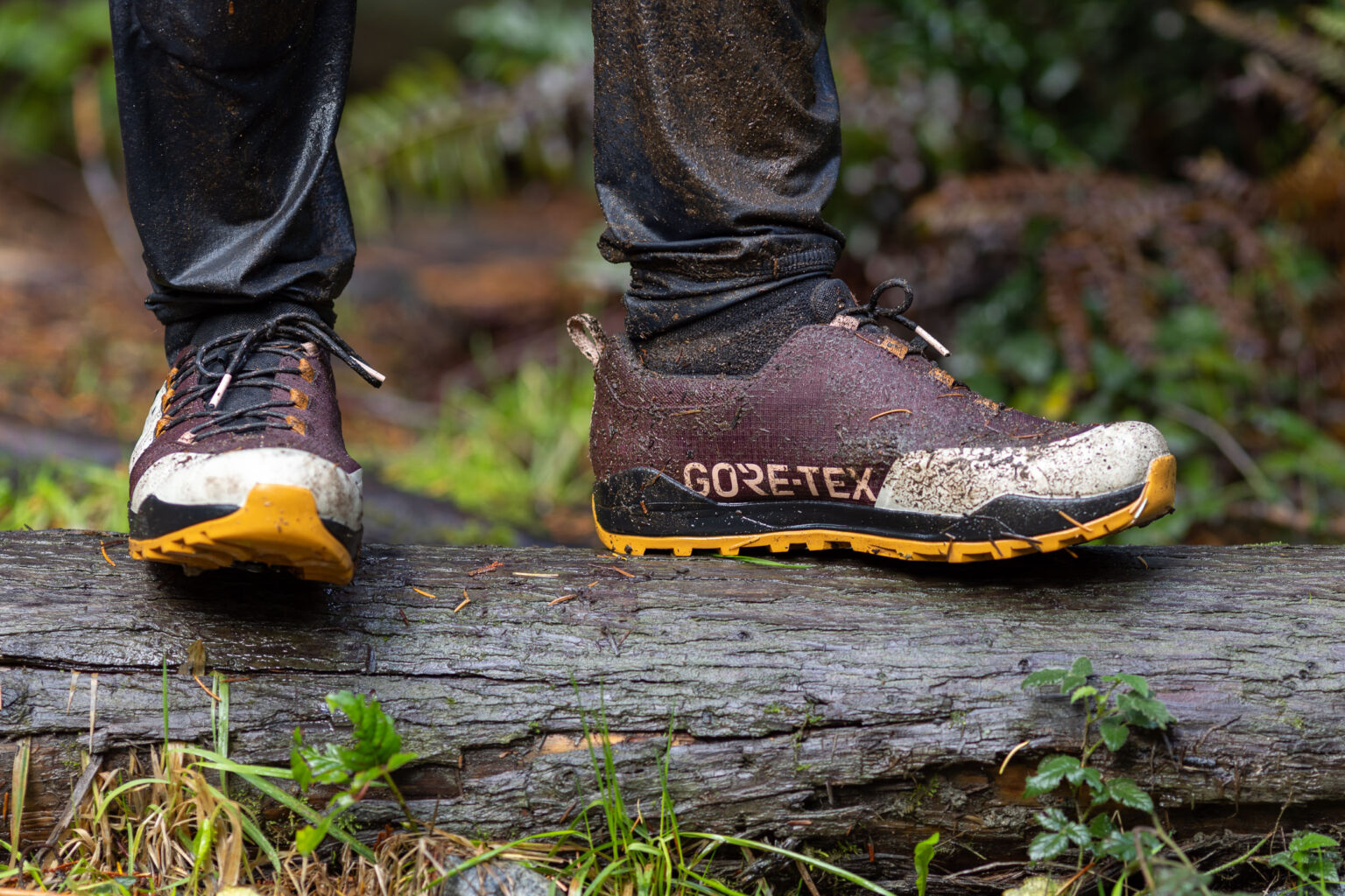 Fizik Terra Ergolace GTX Shoes Review - BIKEPACKING.com