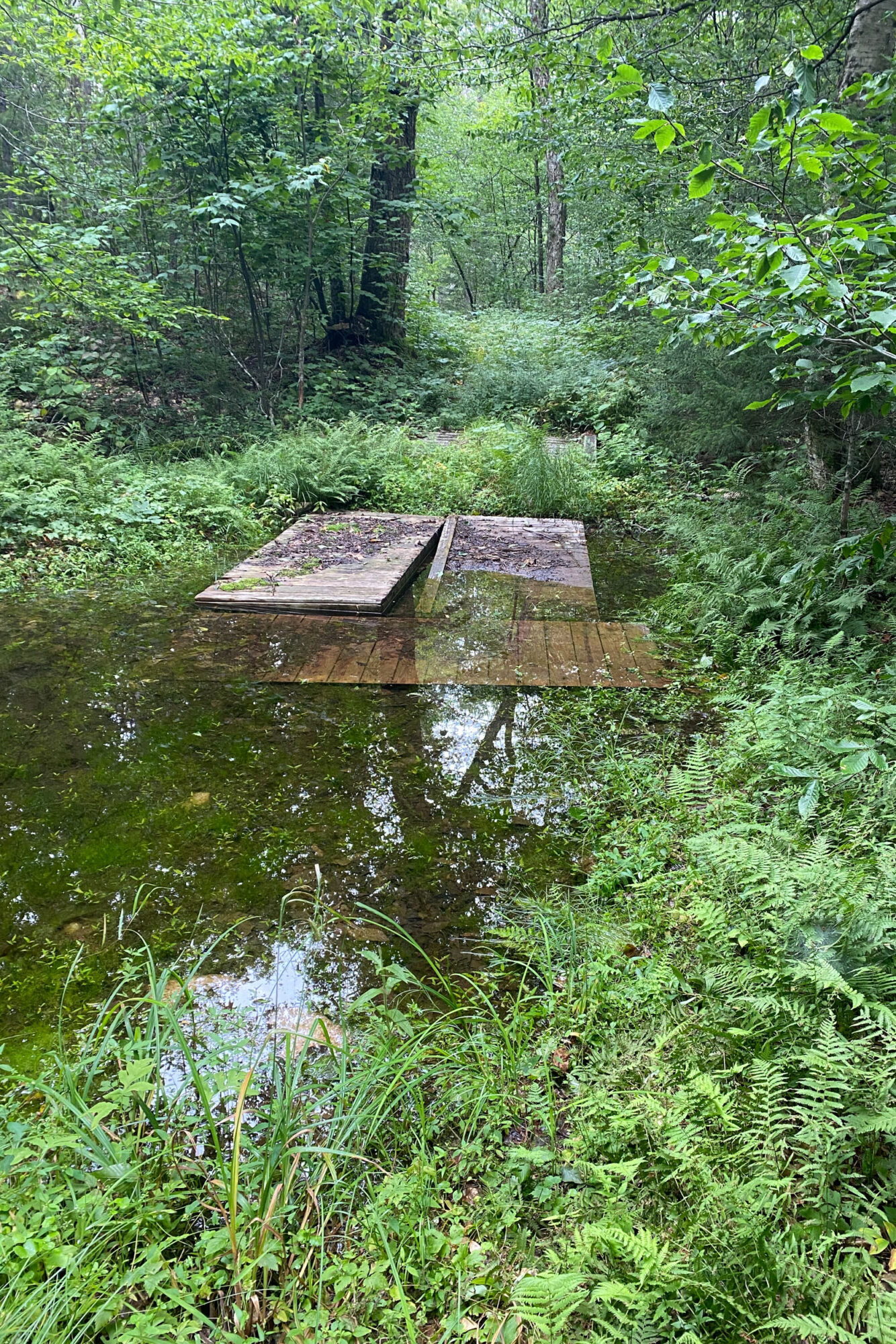 2023 Adirondack Trail Ride Recap - BIKEPACKING.com