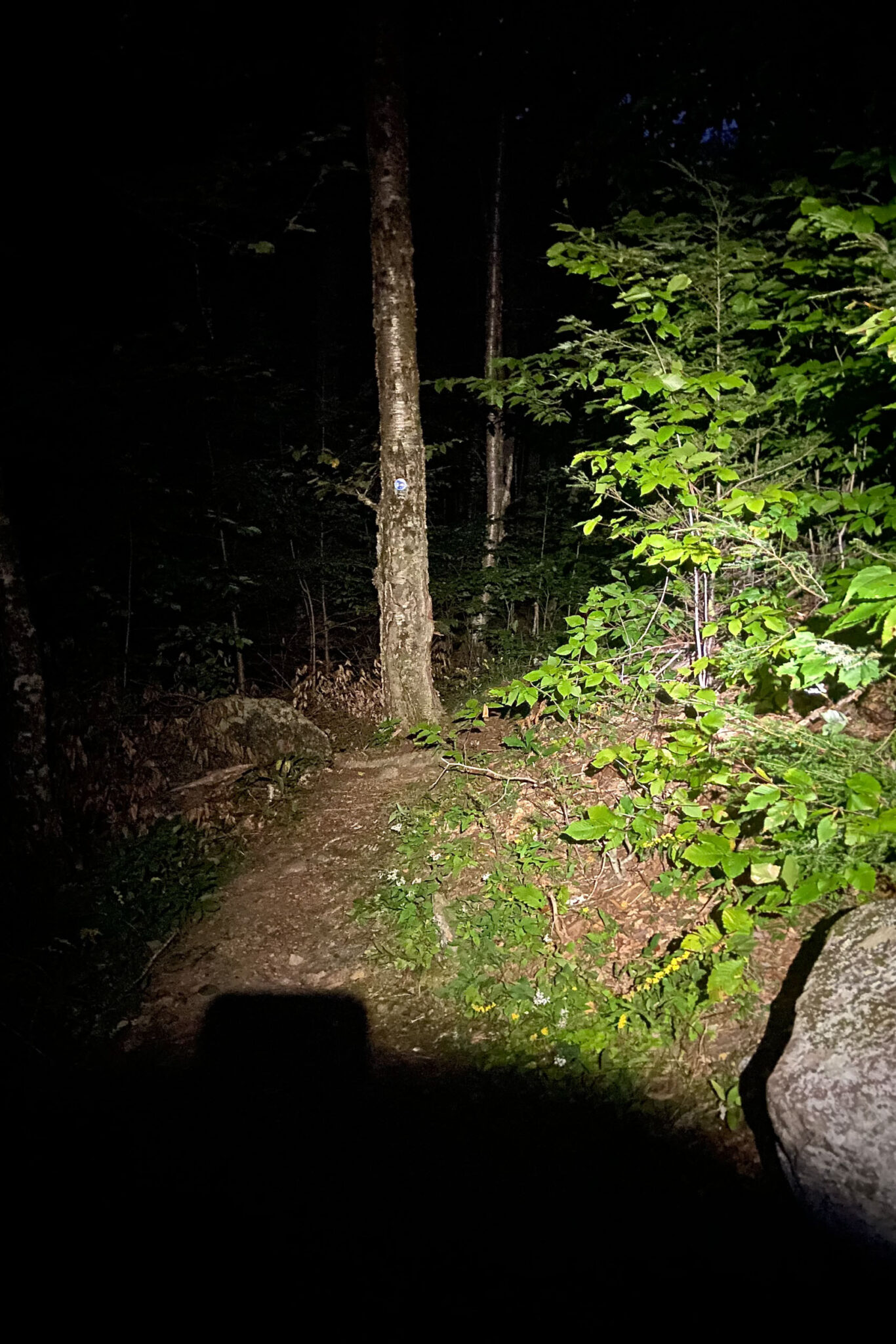 2023 Adirondack Trail Ride Recap - BIKEPACKING.com