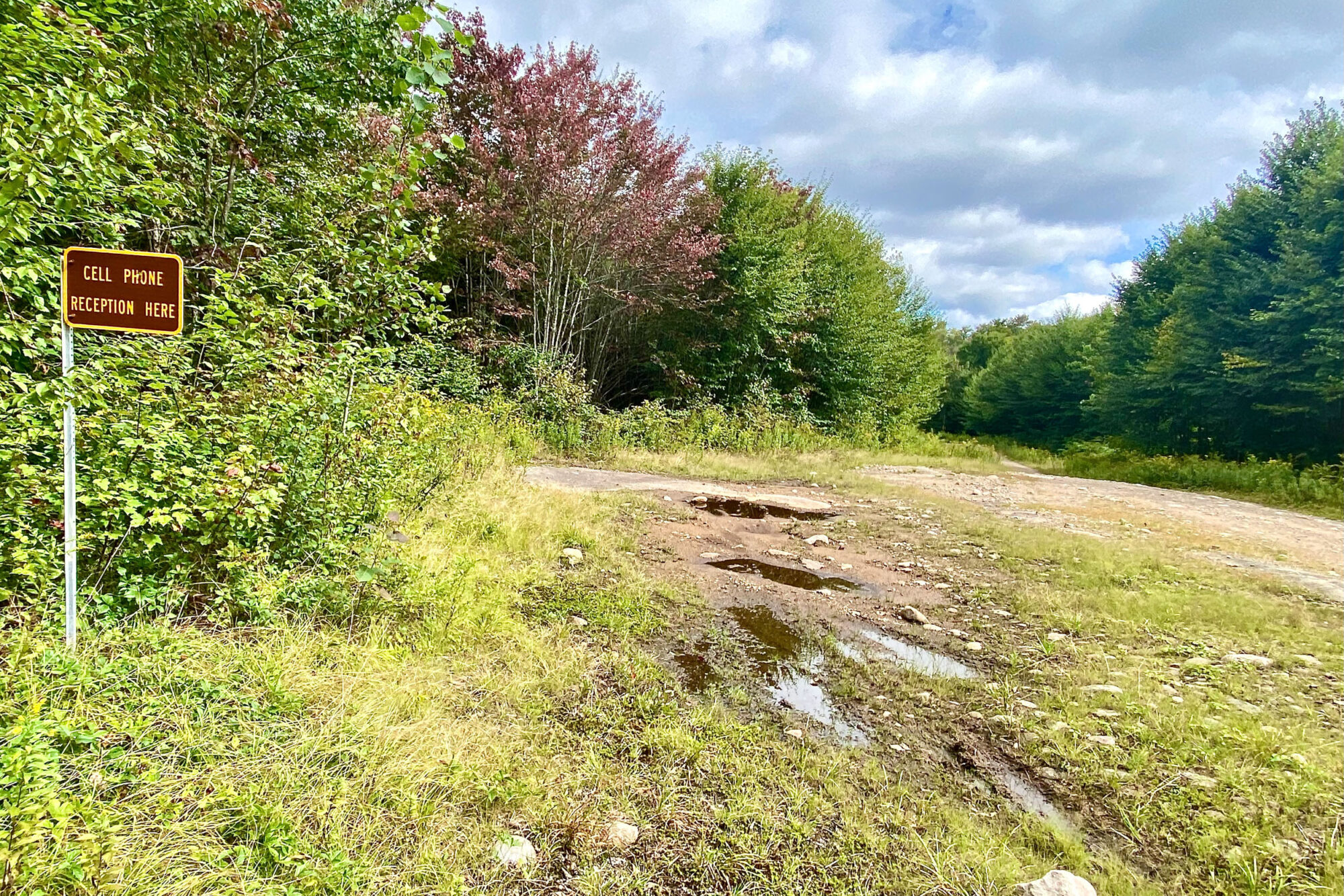 2023 Adirondack Trail Ride Recap - BIKEPACKING.com