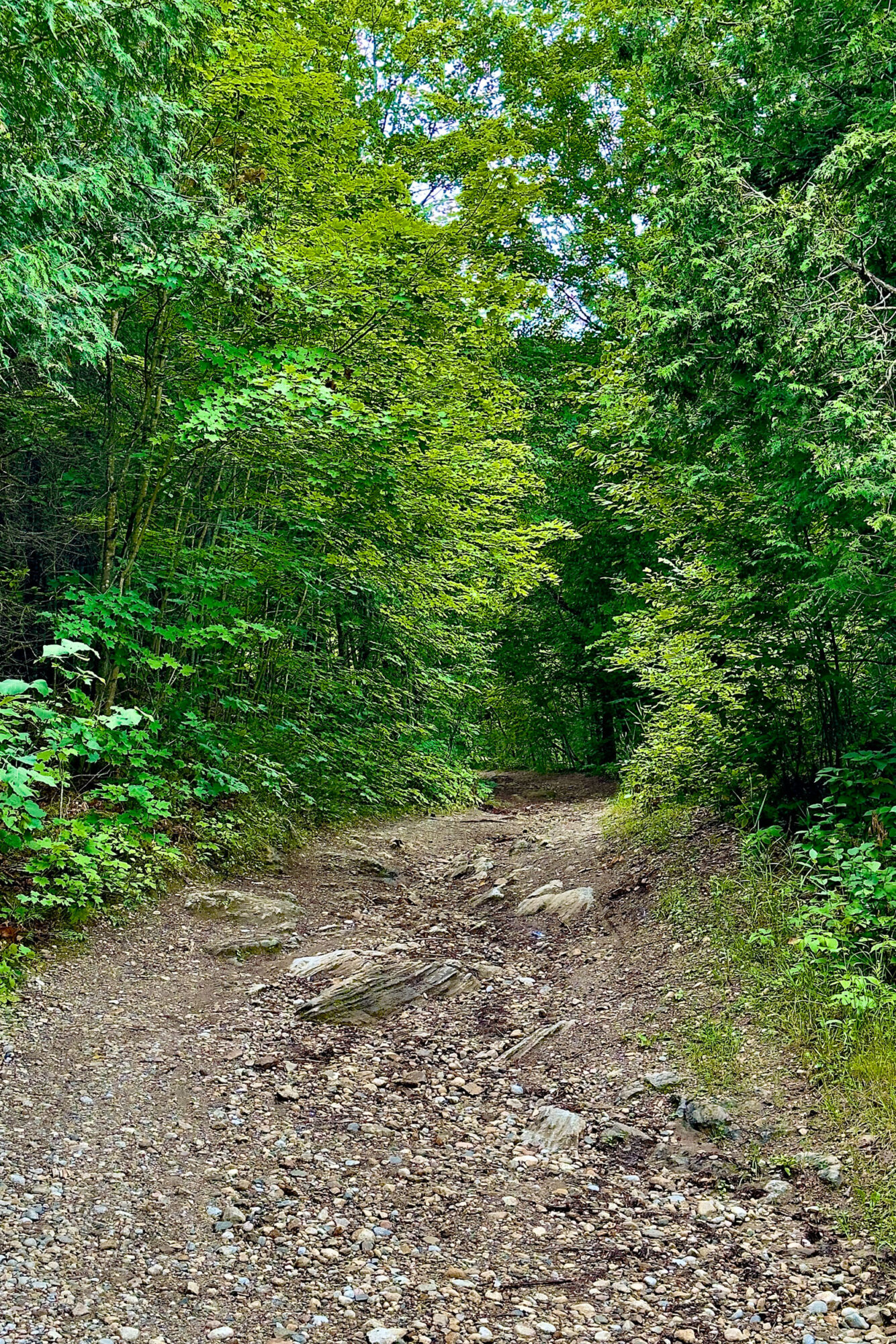 2023 Log Driver's Waltz and St. Lawrence Bikepacking Triple Crown Recap ...